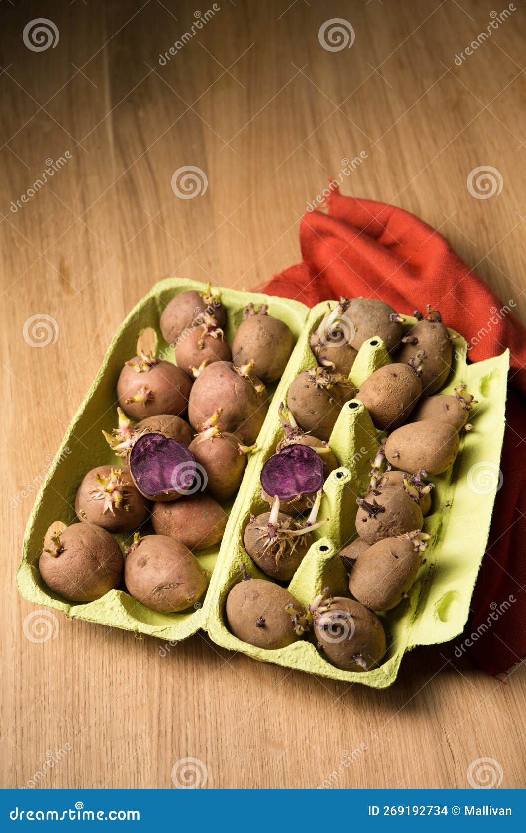 Germination of Potatoes in a Box Stock Photo - Image of closeup ...