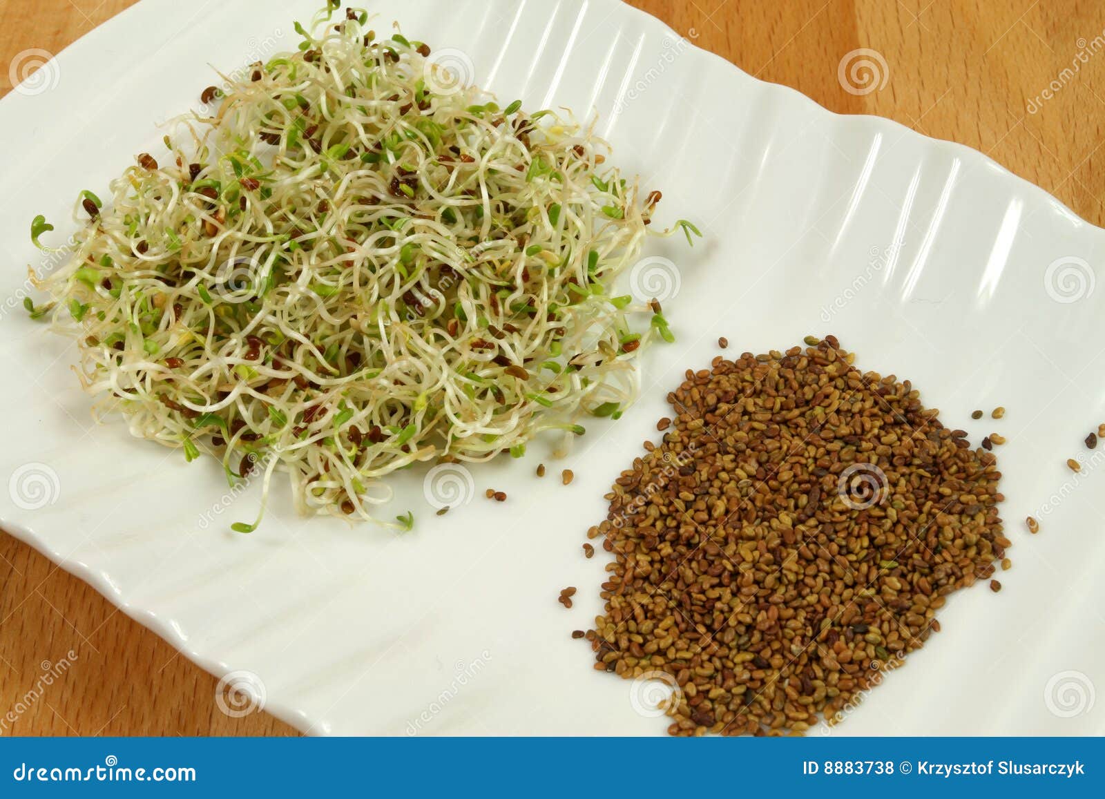 Germogli E Semi Di Erba Medica Fotografia Stock - Immagine di alfalfa ...