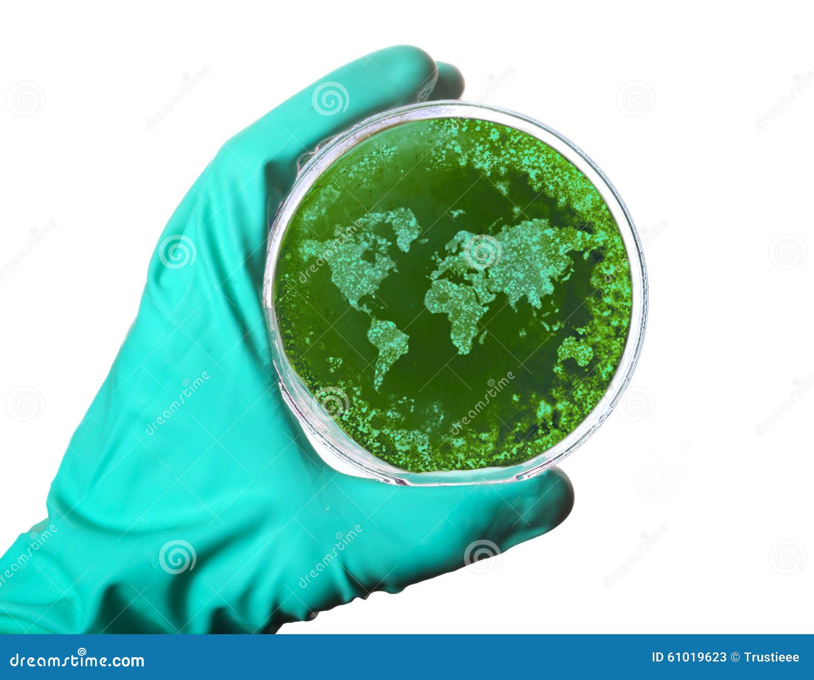 Germs in the Shape of the World in a Petri Dish.(series) Stock Image ...