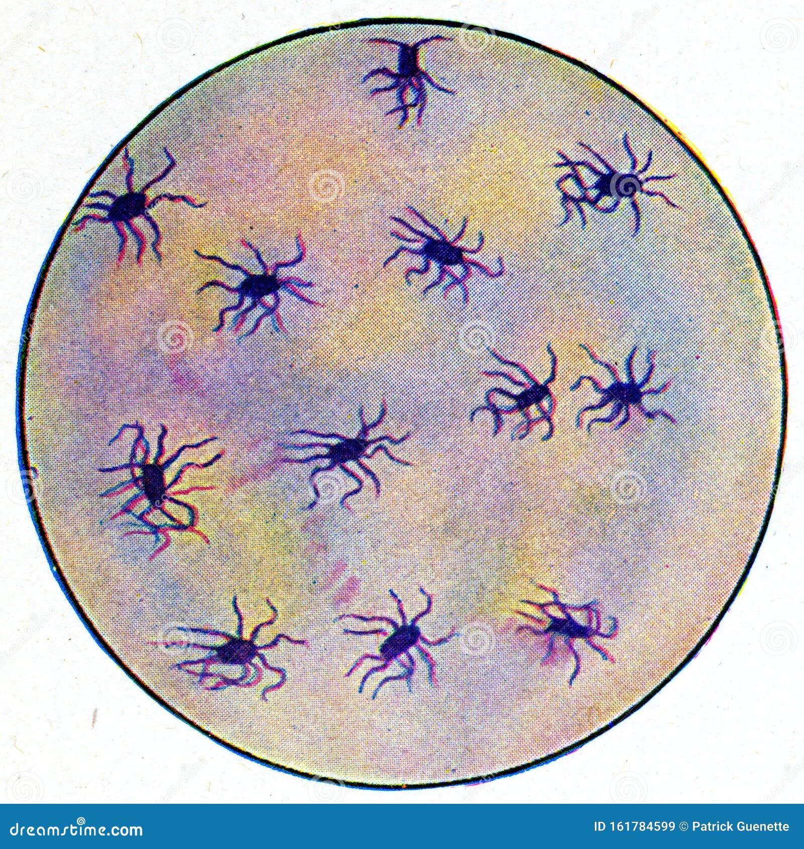 Typhoid Fever Icon. Trendy Flat Vector Typhoid Fever Icon On White ...