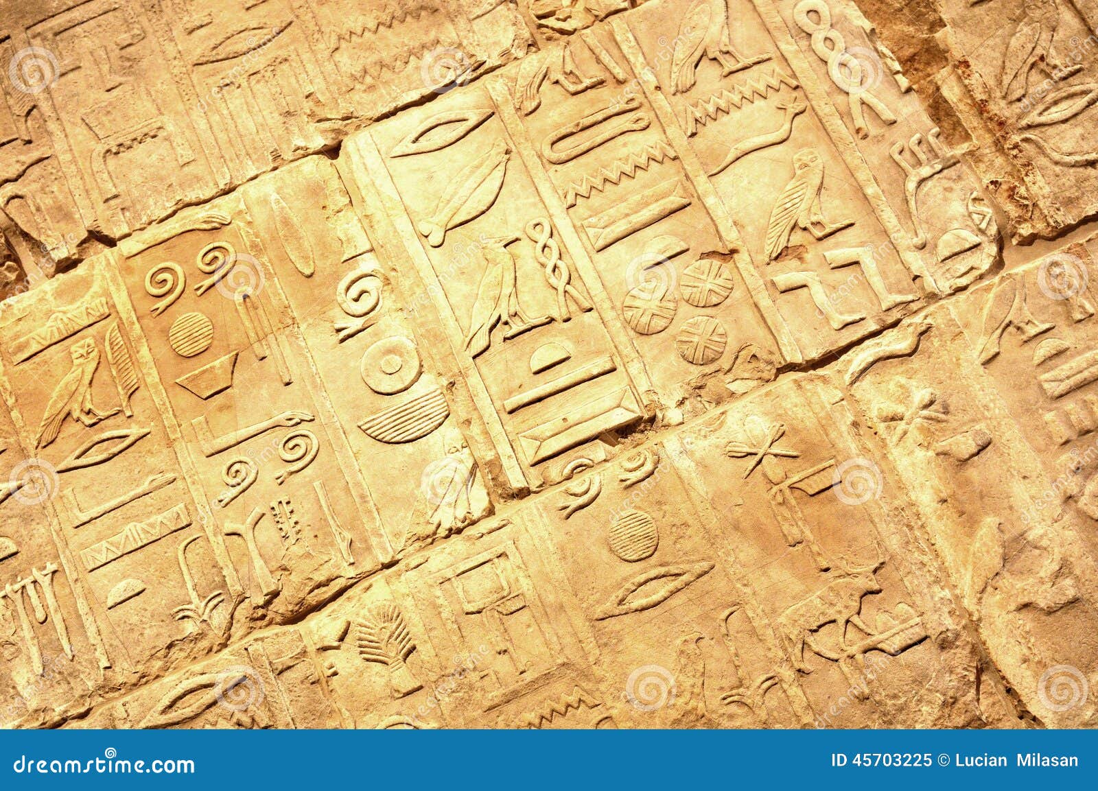 Geroglifici egiziani immagine stock. Immagine di geroglifico - 45703225