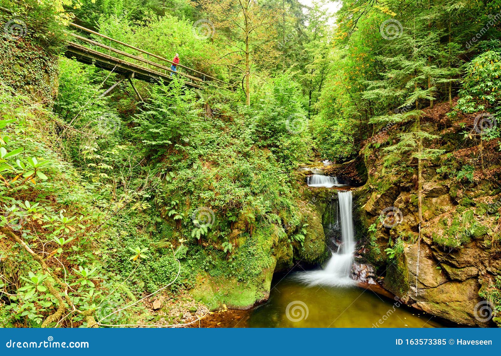 Geroldsau Waterfall in Schwarzwald, Germany Stock Image - Image of moss ...