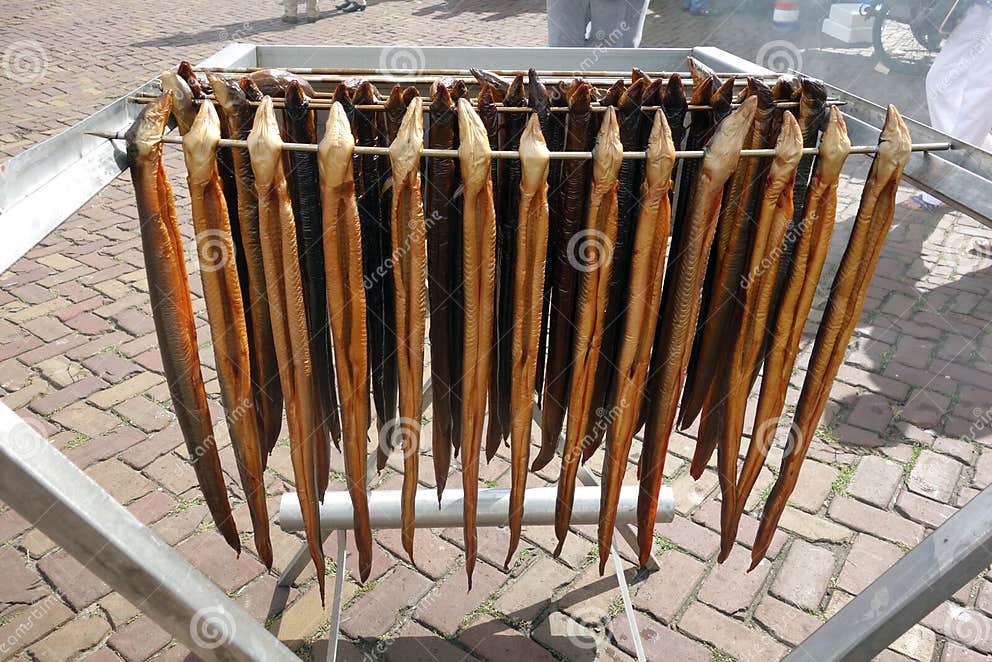 Gerookte paling stock foto. Image of paling, gerookt - 33442144