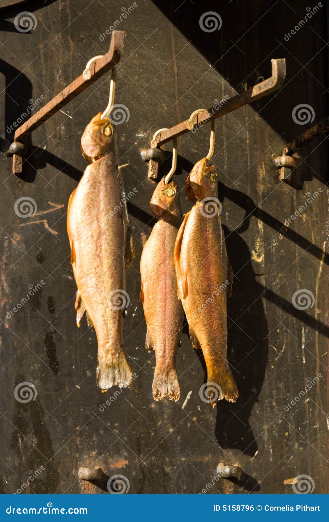 Gerookte zalmforel stock foto. Image of vissen, gerookt - 5158796