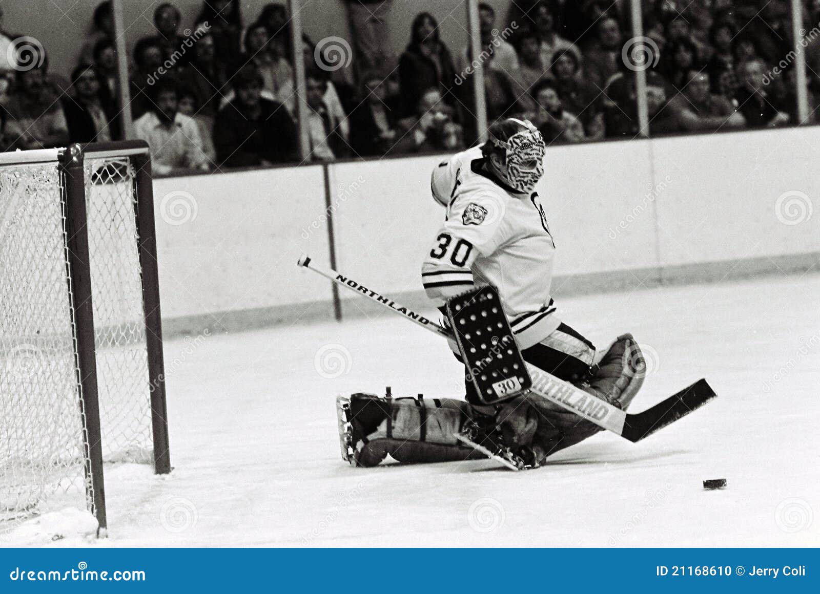Gerry Cheevers Boston Bruins Editorial Image - Image of professional ...