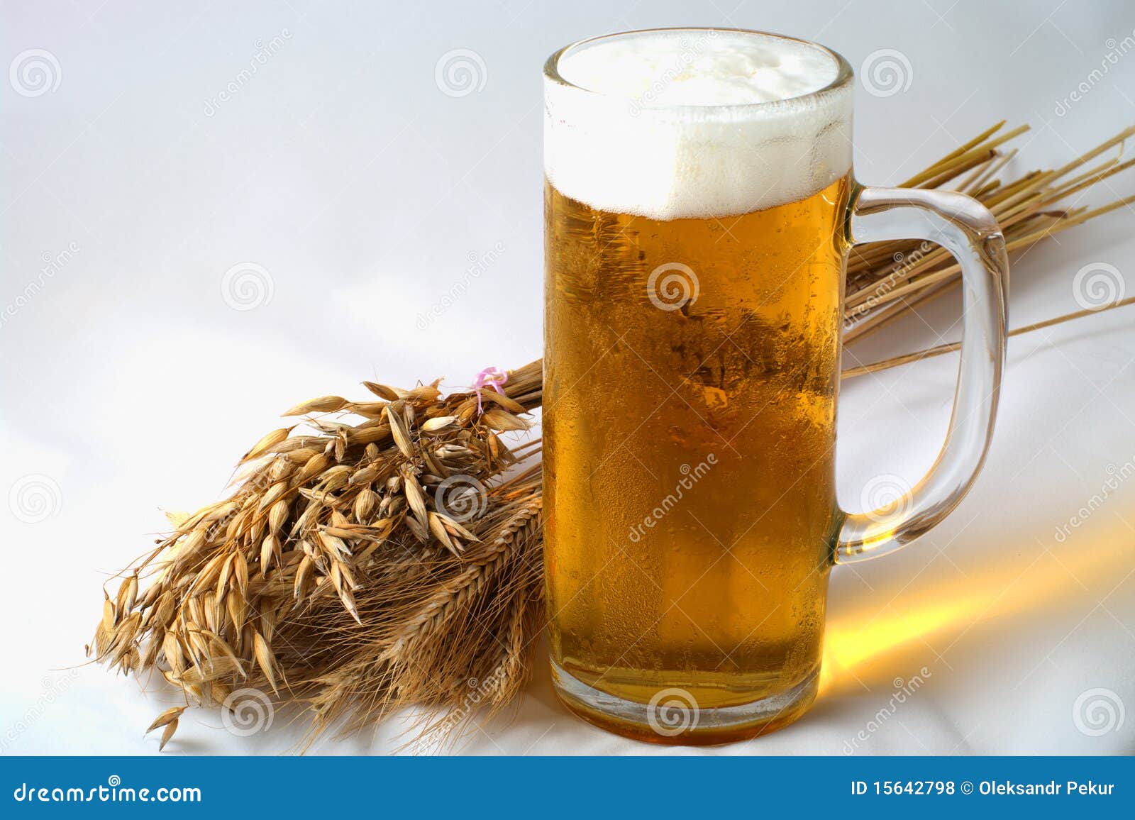 Gerst en bier stock foto. Image of naughty, alcohol, mout - 15642798
