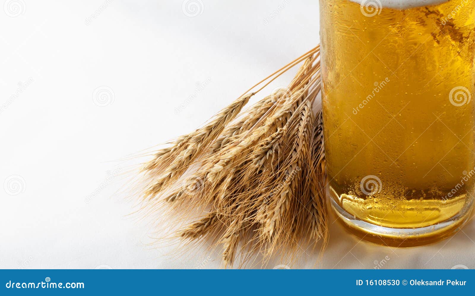 Gerst en bier stock foto. Image of gerst, bier, horizontaal - 16108530