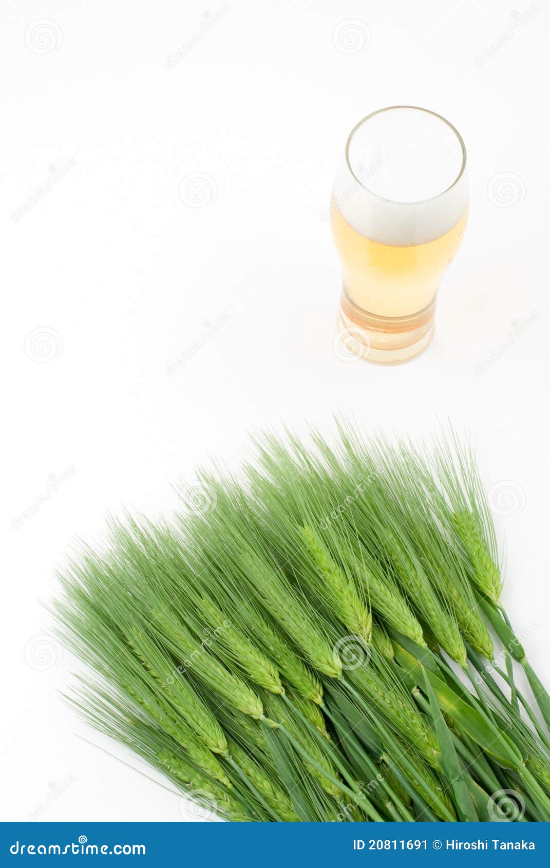 Gerste Und Bier Stock-Fotos - Laden Sie 3,803 Royalty-Free Fotos herunter