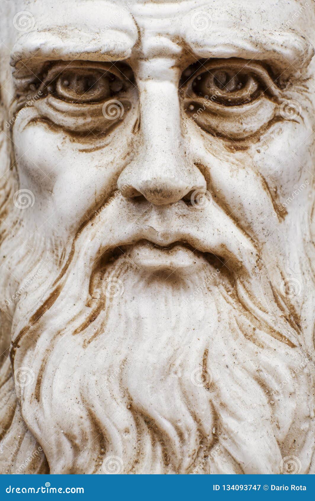 Gesamtes Gesicht Leonardo Da Vinci-Frontansicht Stockbild - Bild von ...