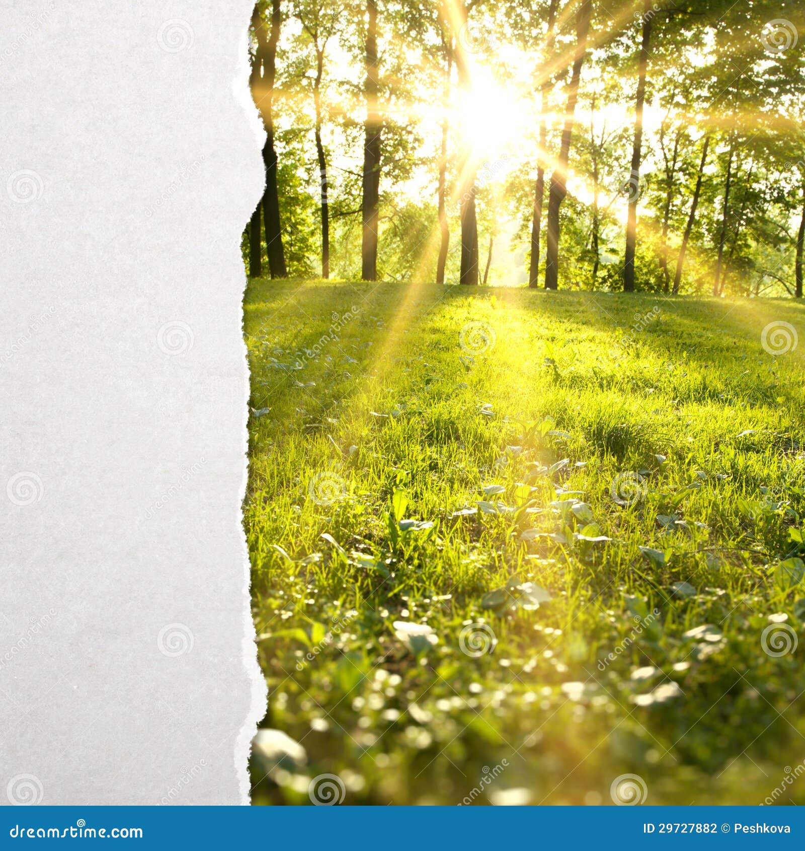 Gescheurd document stock foto. Image of ontwerp, gerold - 29727882