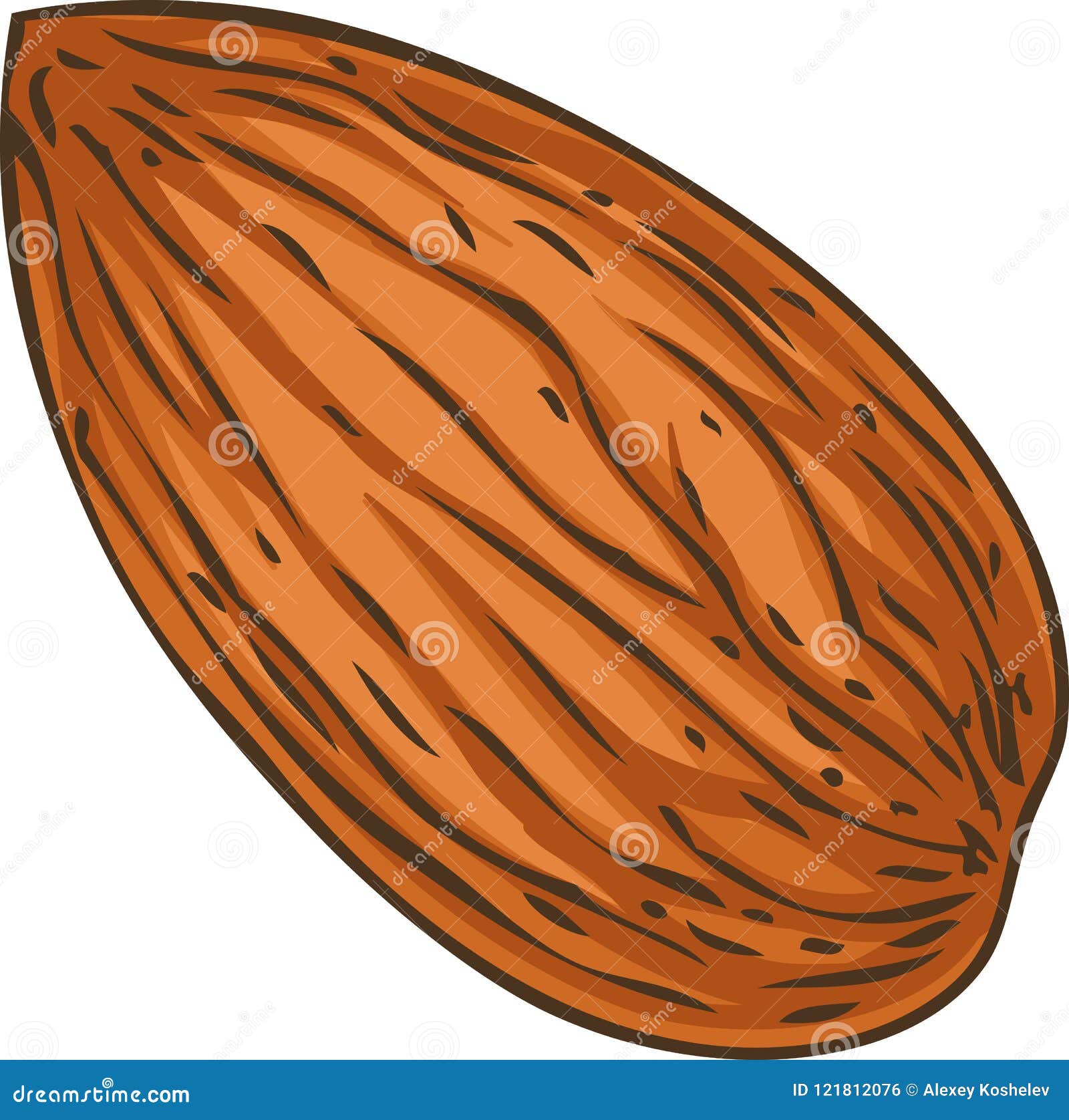 Geschilde Amandel stock illustratie. Illustration of gastronomisch ...