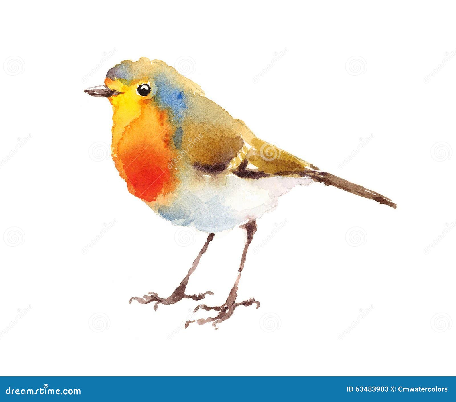 Geschilderd Robin Bird Watercolor Illustration Hand Stock Illustratie ...