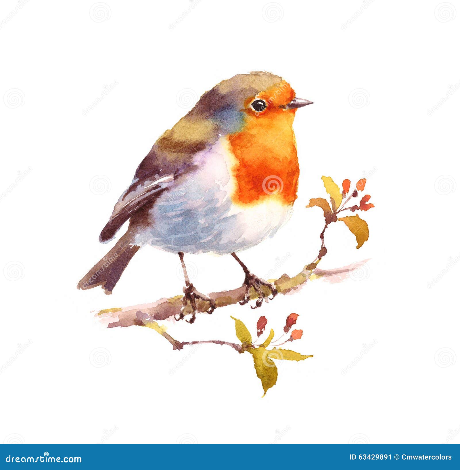 Geschilderd Robin Watercolor Bird Illustration Hand Stock Illustratie ...