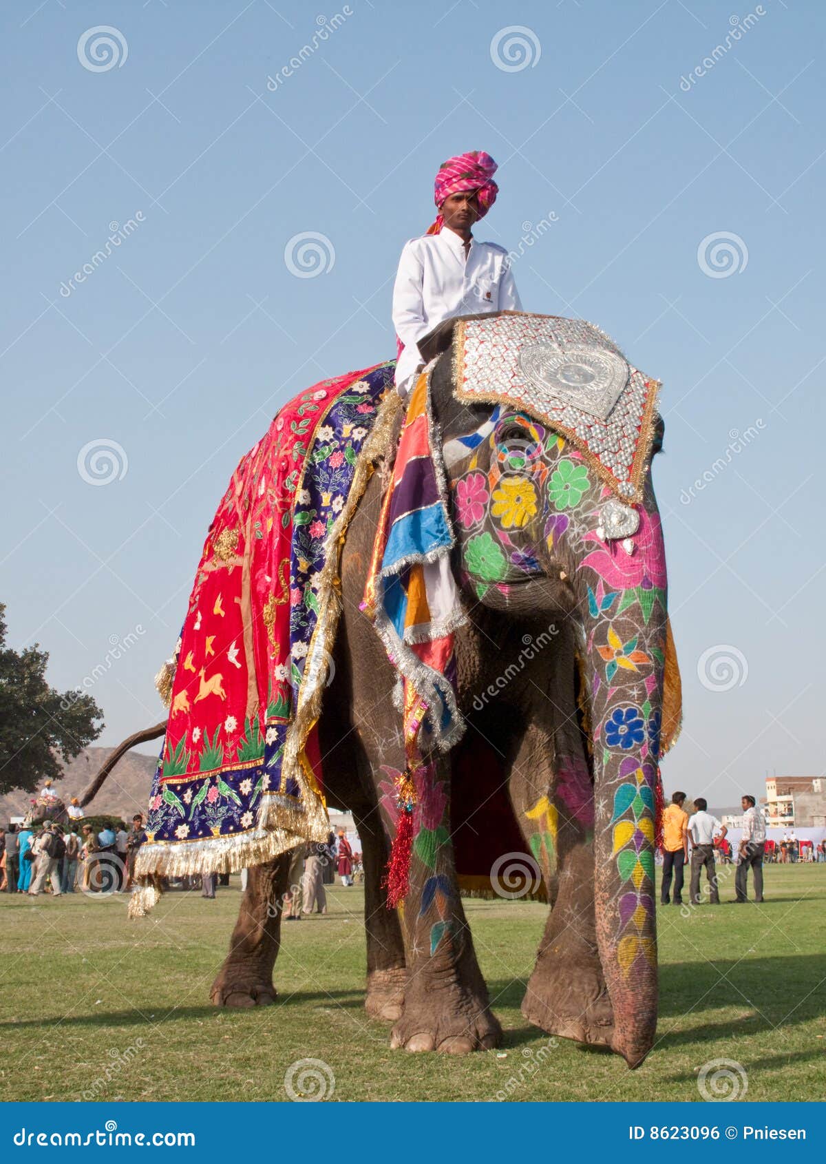 Geschilderde Olifant Op Parade Redactionele Foto - Image of gekleurd ...