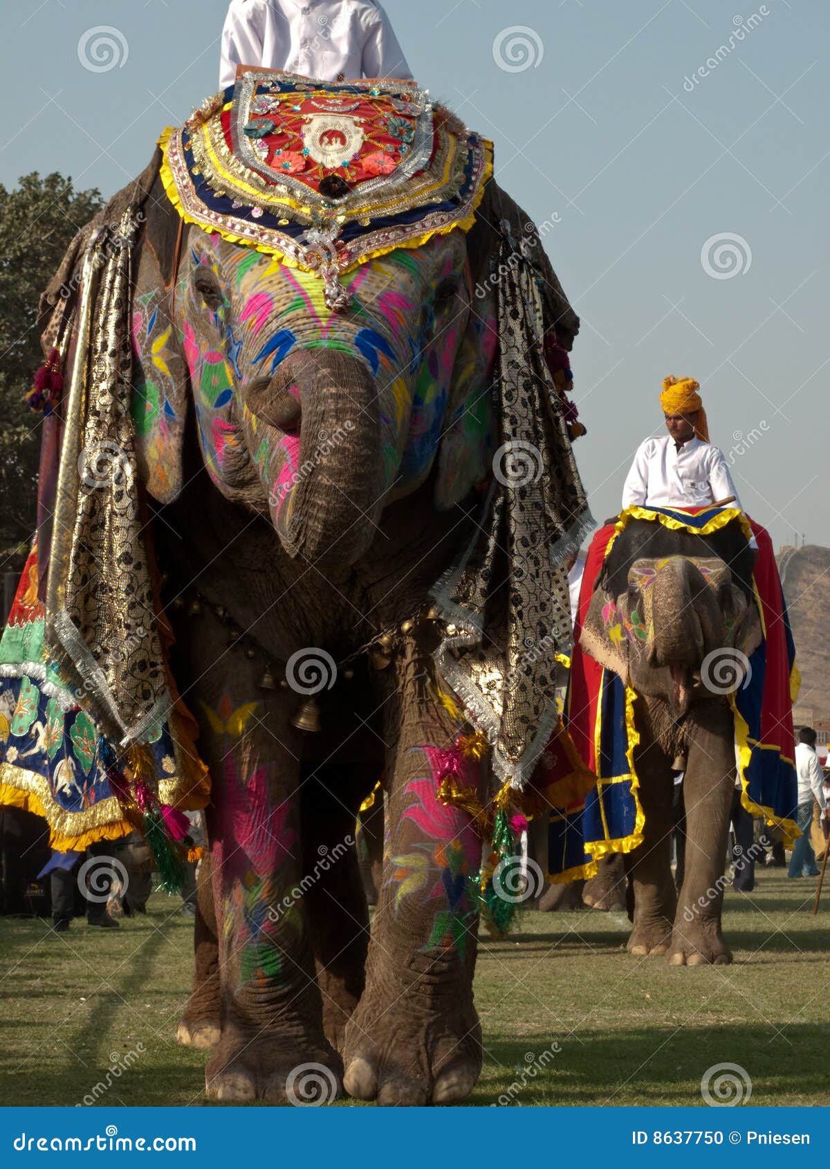 Geschilderde Olifanten Op Parade Redactionele Afbeelding - Image of ...