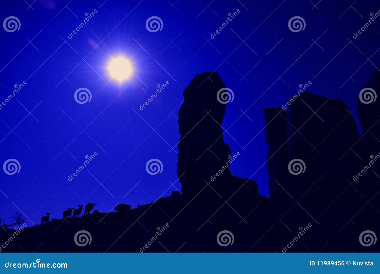 Gesilhouetteerde Rotsen En Dieren Stock Foto - Image of woestijn, geit ...