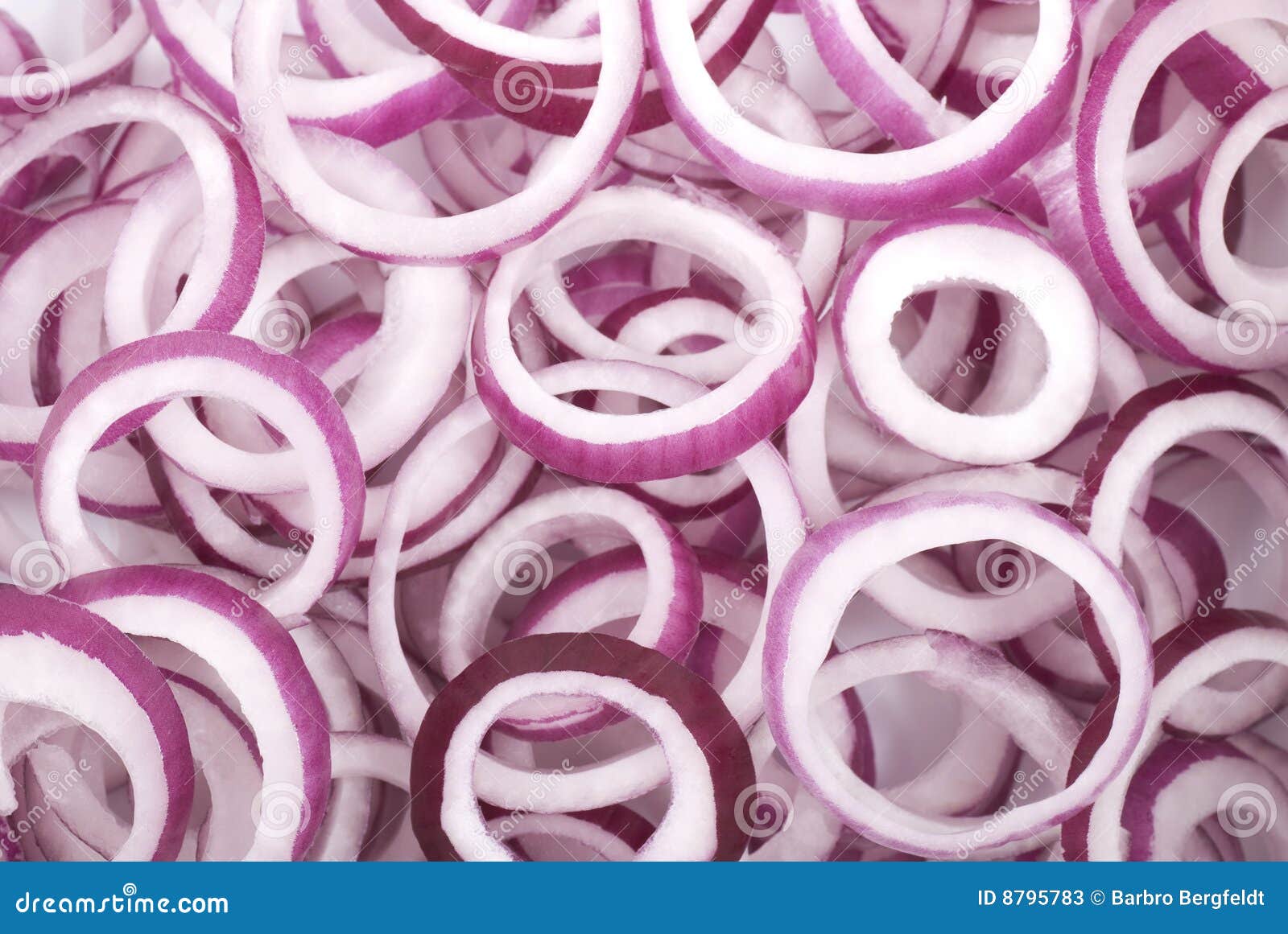 Gesneden Rode Ui stock afbeelding. Image of kader, niemand - 8795783