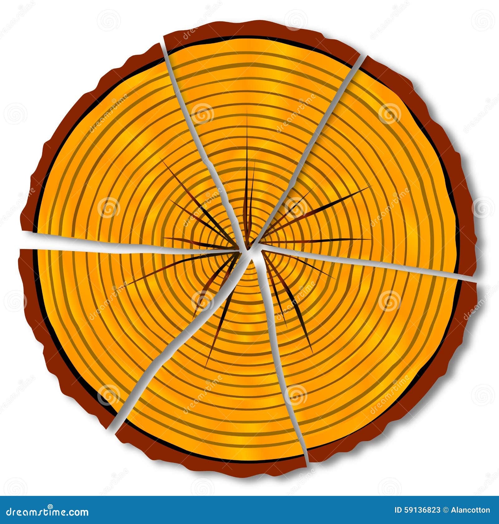 Gespalten Scheit stock abbildung. Illustration von holz - 59136823