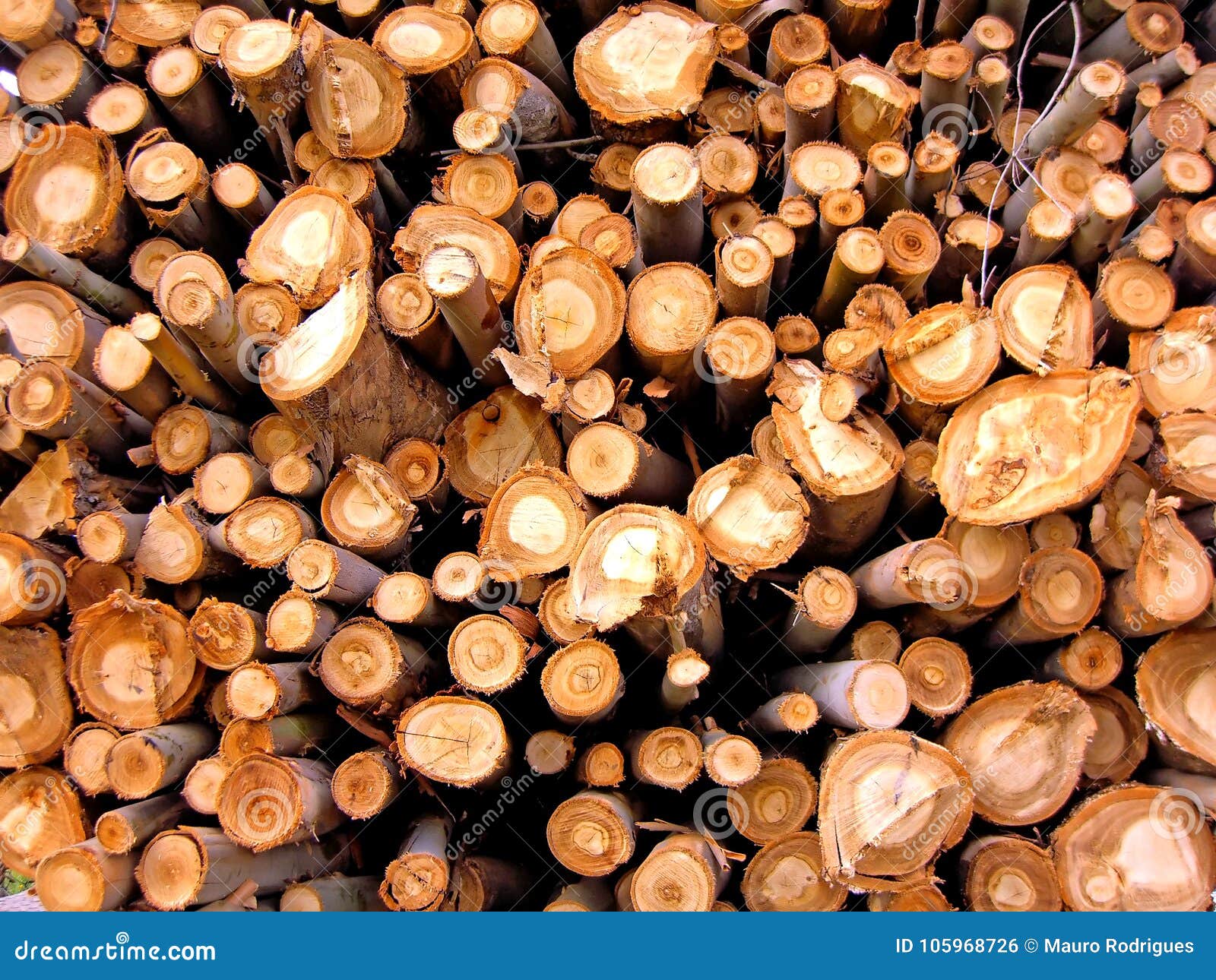 Gestapeld Hout stock foto. Image of gezaagd, textuur - 105968726