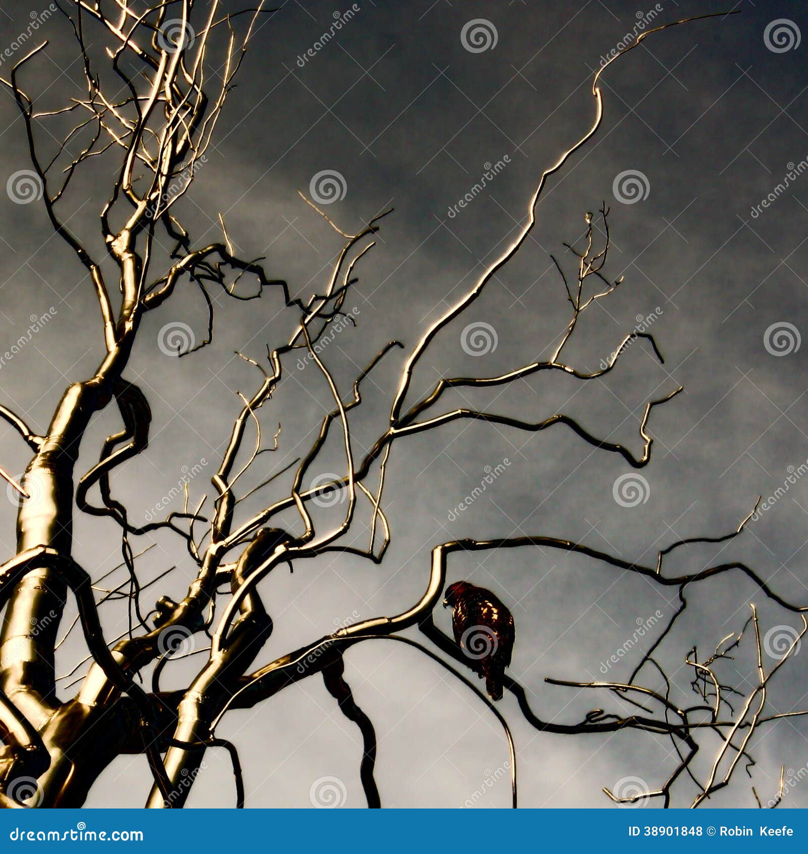 Gestileerde Spookachtige Boom Met Vogel Stock Foto - Image of boom ...