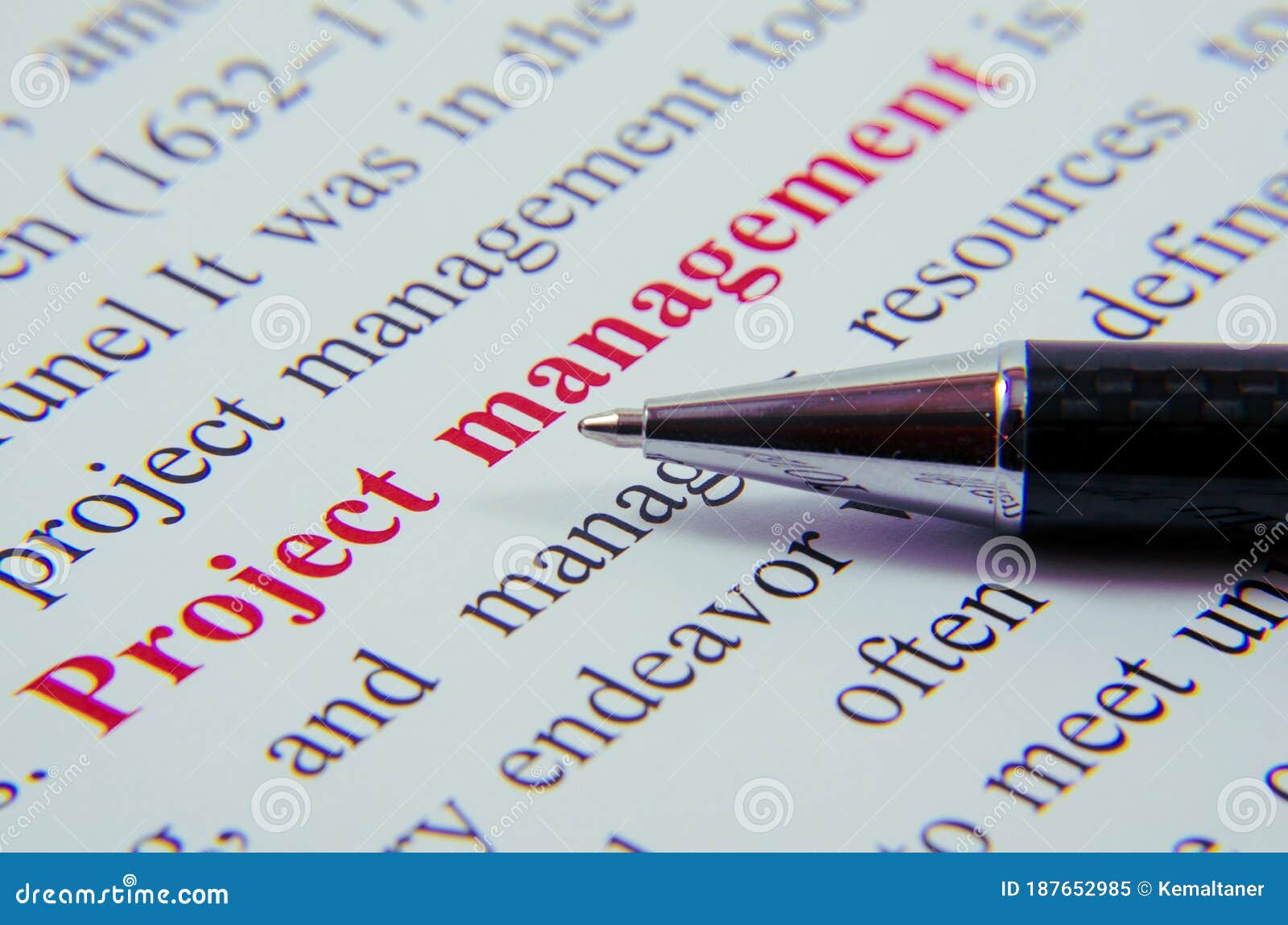 Gestion de projet image stock. Image of main, construction - 187652985