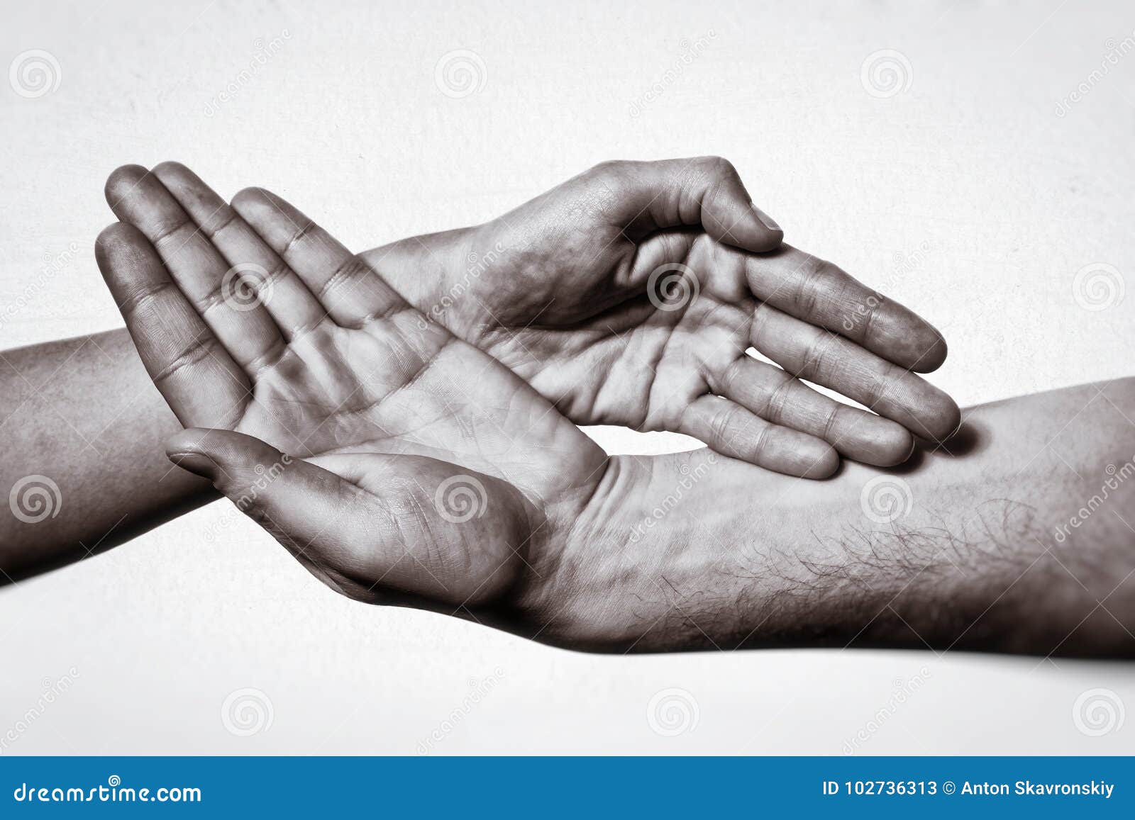 Gesto De La Confianza, Franqueza Imagen de archivo - Imagen de ...