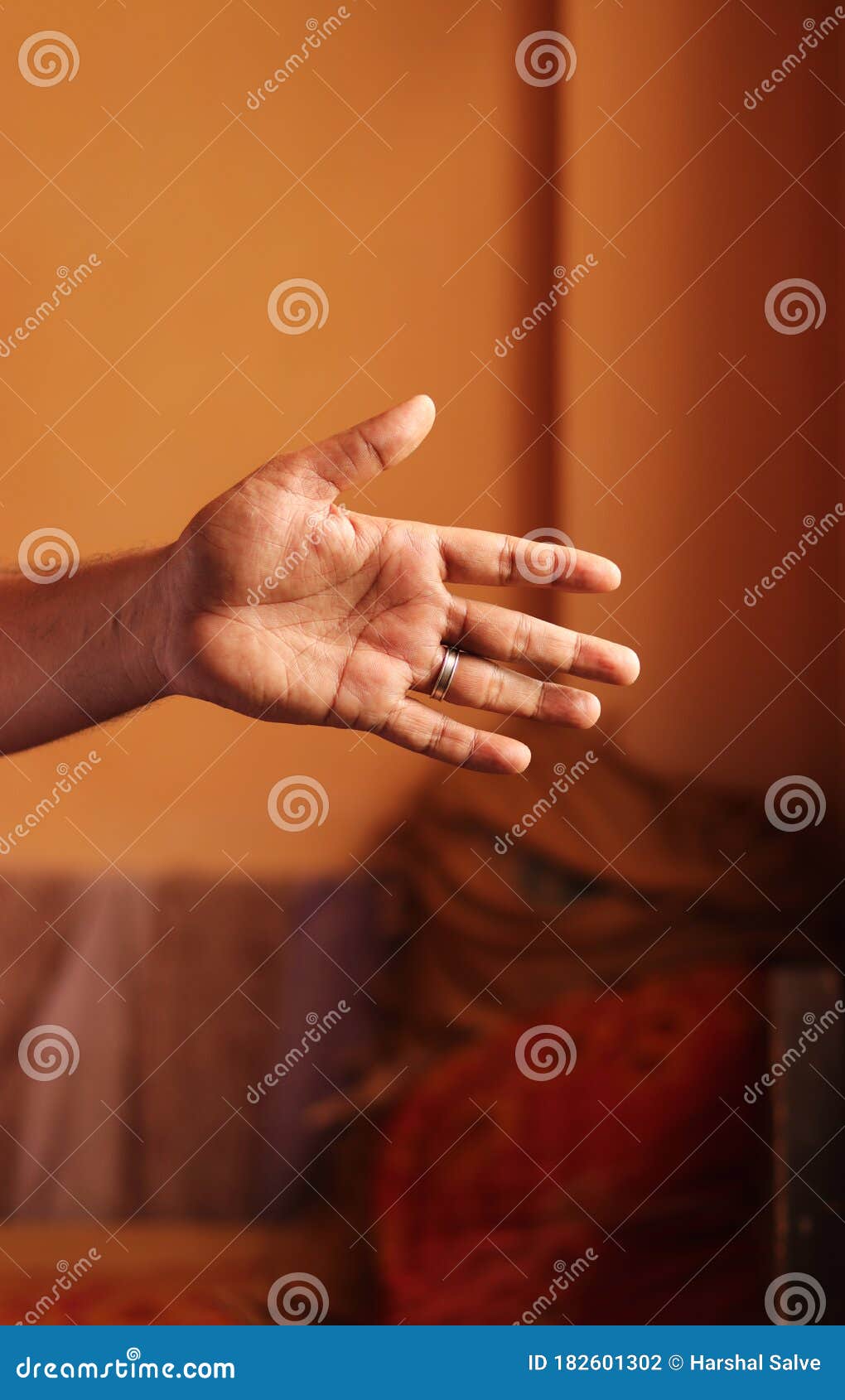 Gesto De Palma De Mano Completa Para Parar Foto de archivo - Imagen de ...