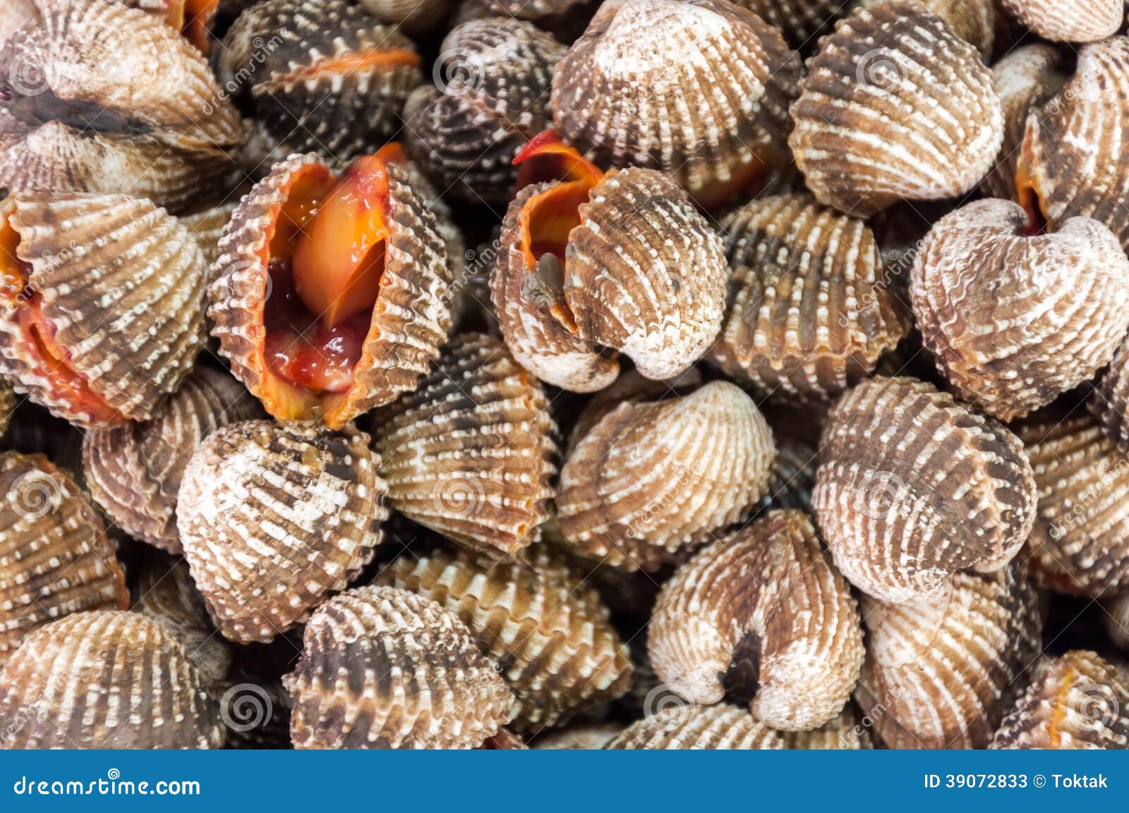 Gestoomde kokkels. stock afbeelding. Image of eetbaar - 39072833