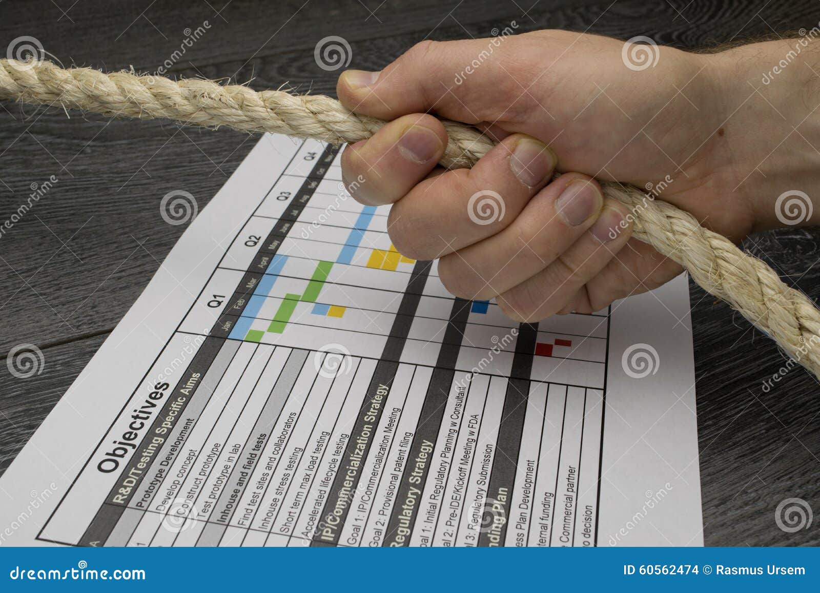 Gestor De Proyecto Responsable O Responsable Del Plan Del Proyecto Foto ...