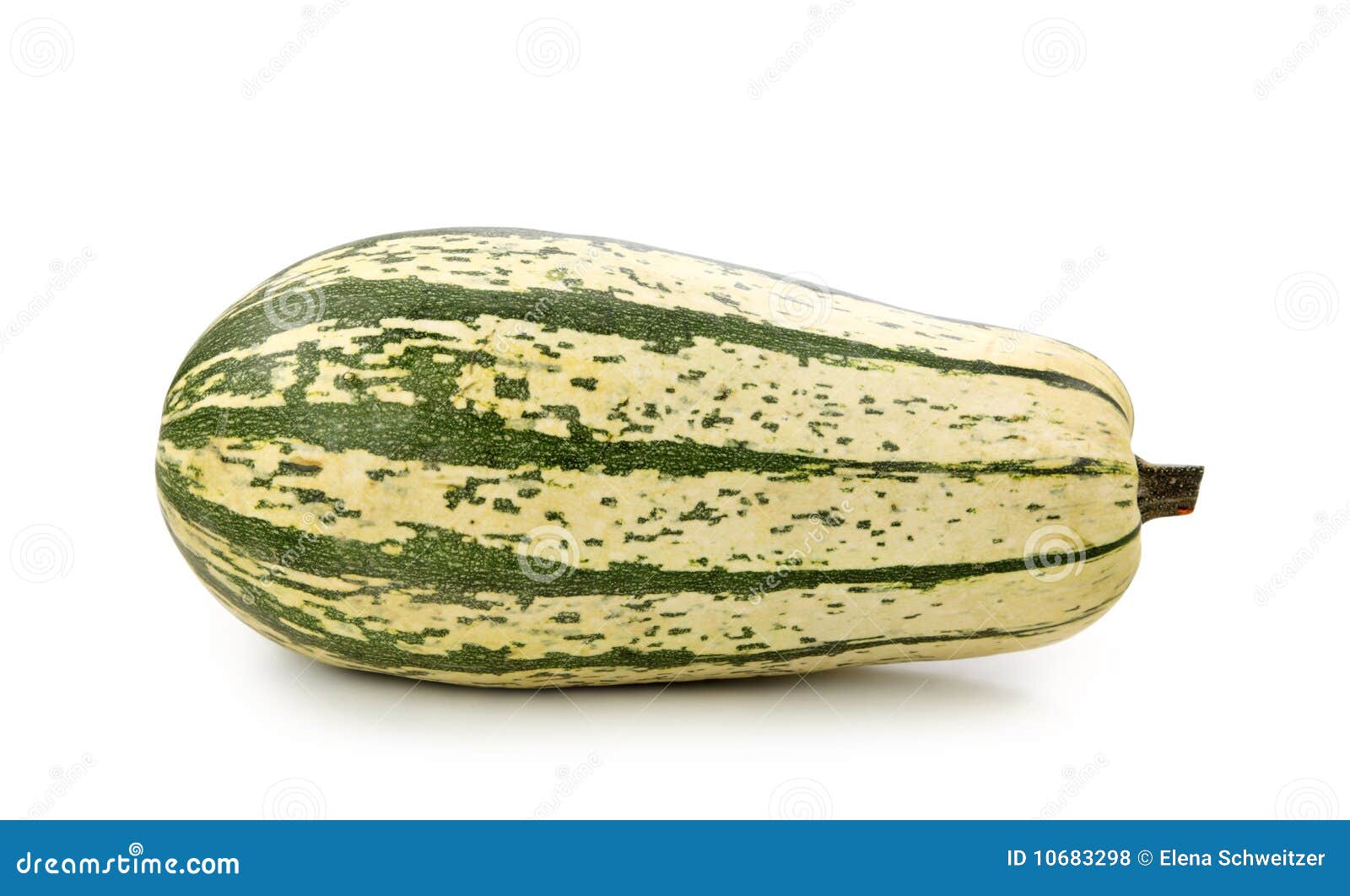 Gestreepte eetbare pompoen stock foto. Image of deel - 10683298