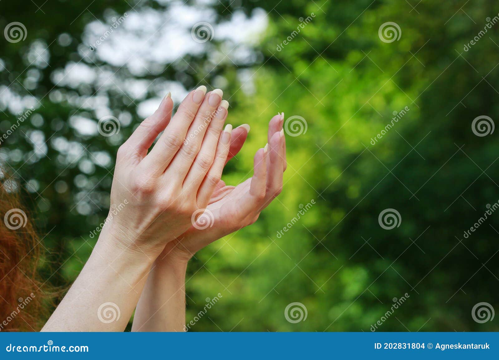 Gesture of Begging Hands on Green Background Stock Photo - Image of ...