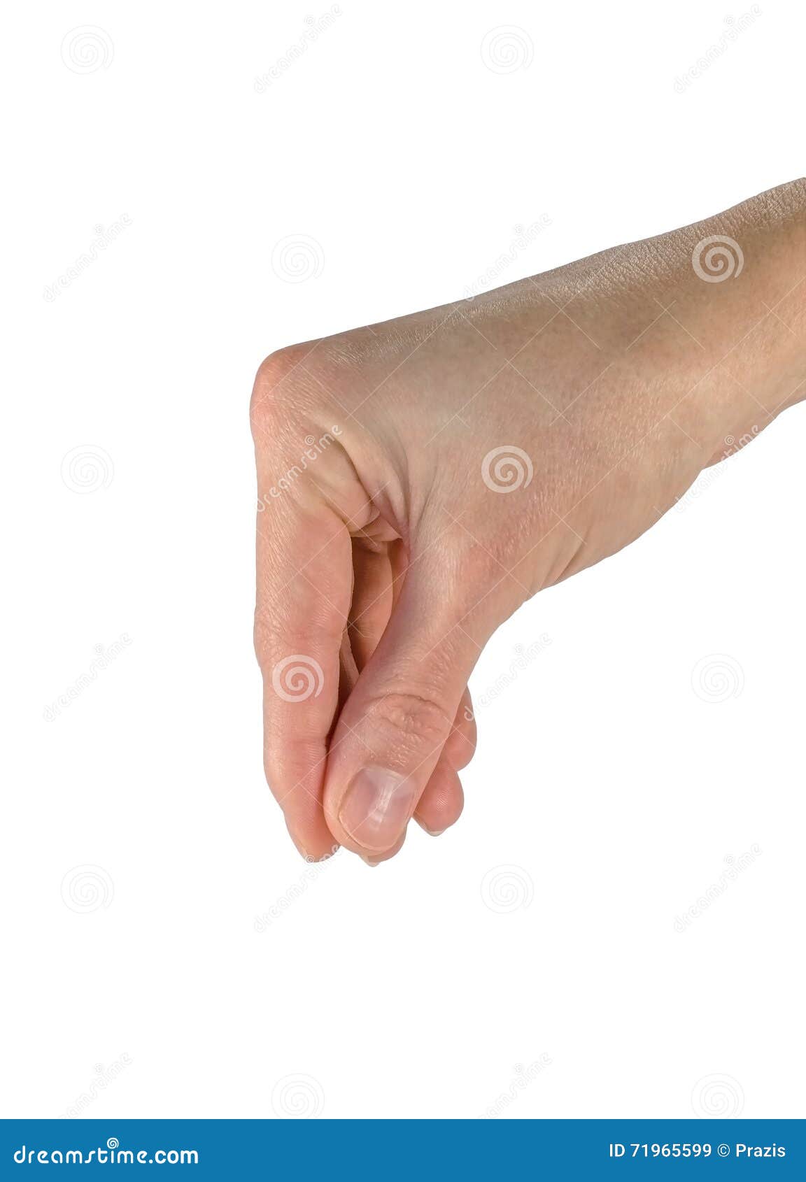 Gesture female hand hold stock image. Image of women - 71965599