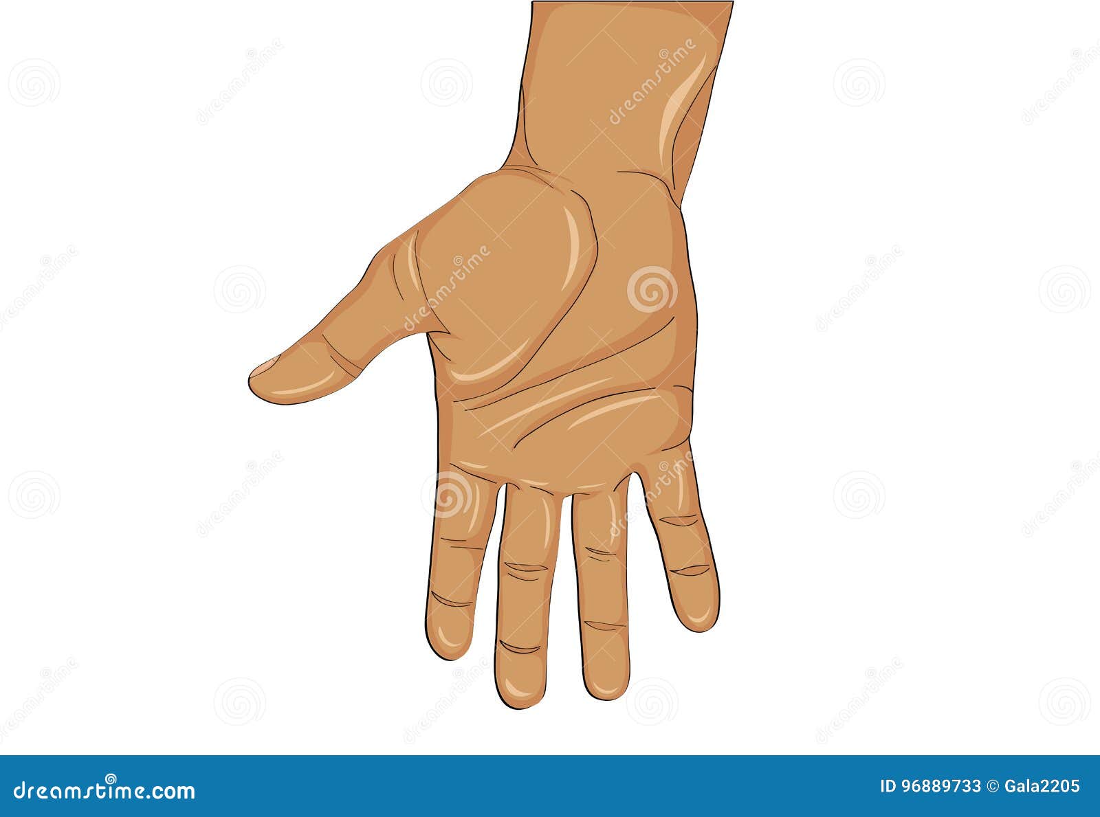 Gesture Open Palms. Two Hand Gives Or Receives. Vector | CartoonDealer ...