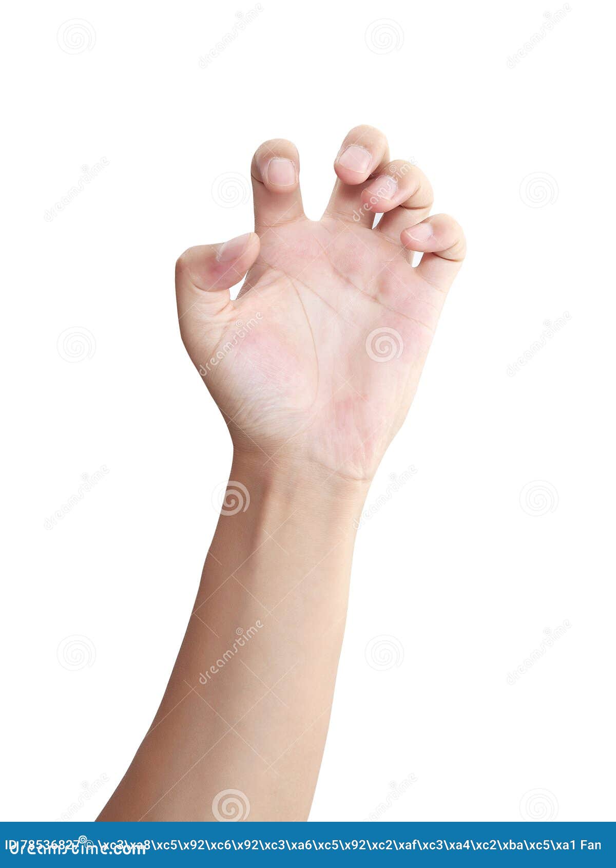 Gesture stock image. Image of people, reaching, isolated - 78536827
