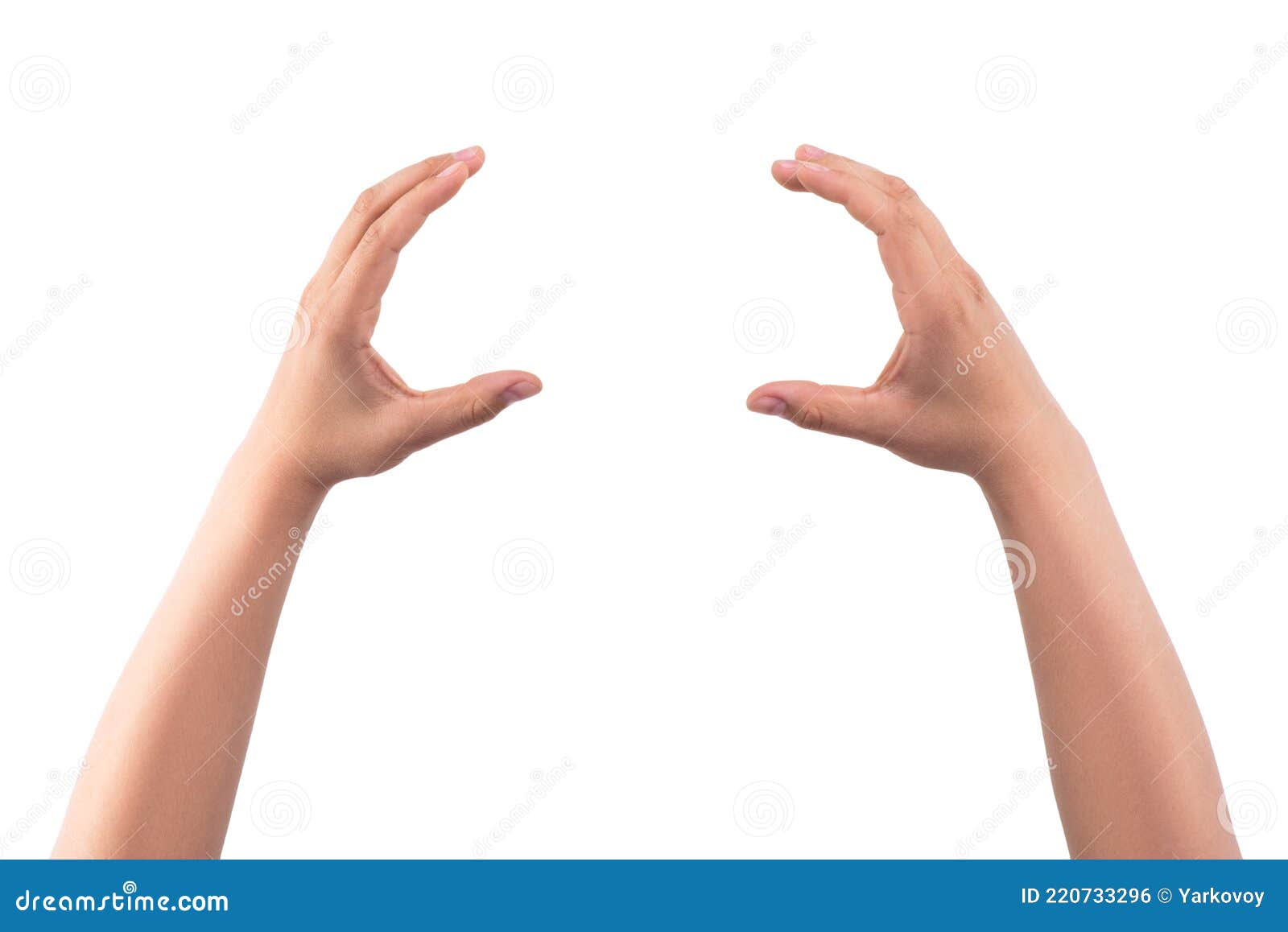Gesture with Two Hands To Grab, Grasp Something. Isolated on White ...