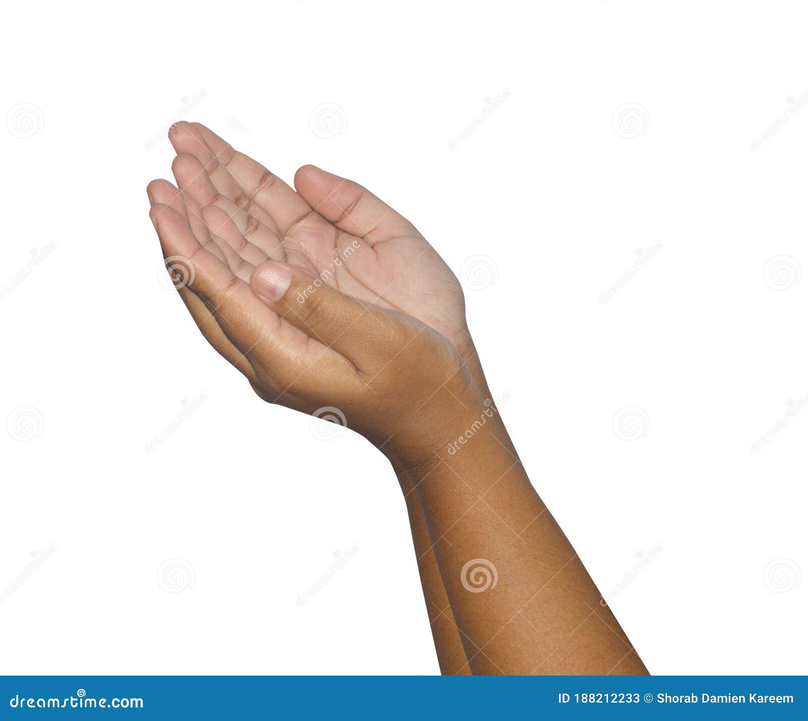 Hand Gesture in Prayer. Isolated on White Background Stock Image ...