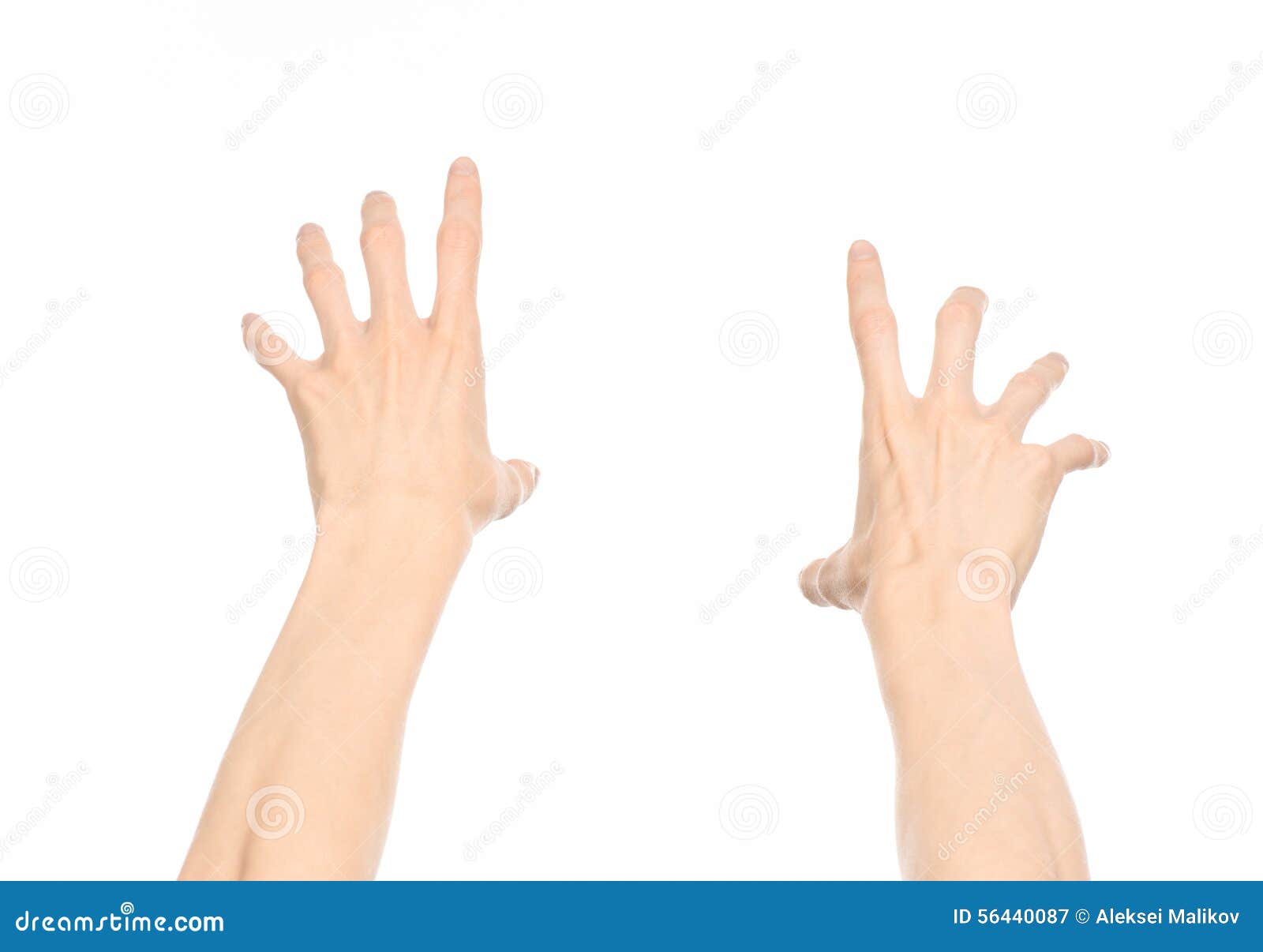 Gestures Topic: Human Hand Gestures Showing First-person View Isolated ...