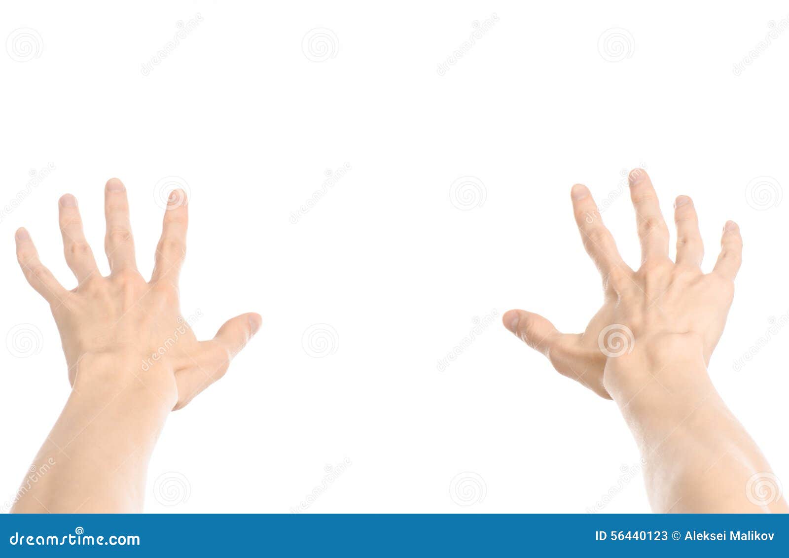 Gestures Topic: Human Hand Gestures Showing First-person View Isolated ...