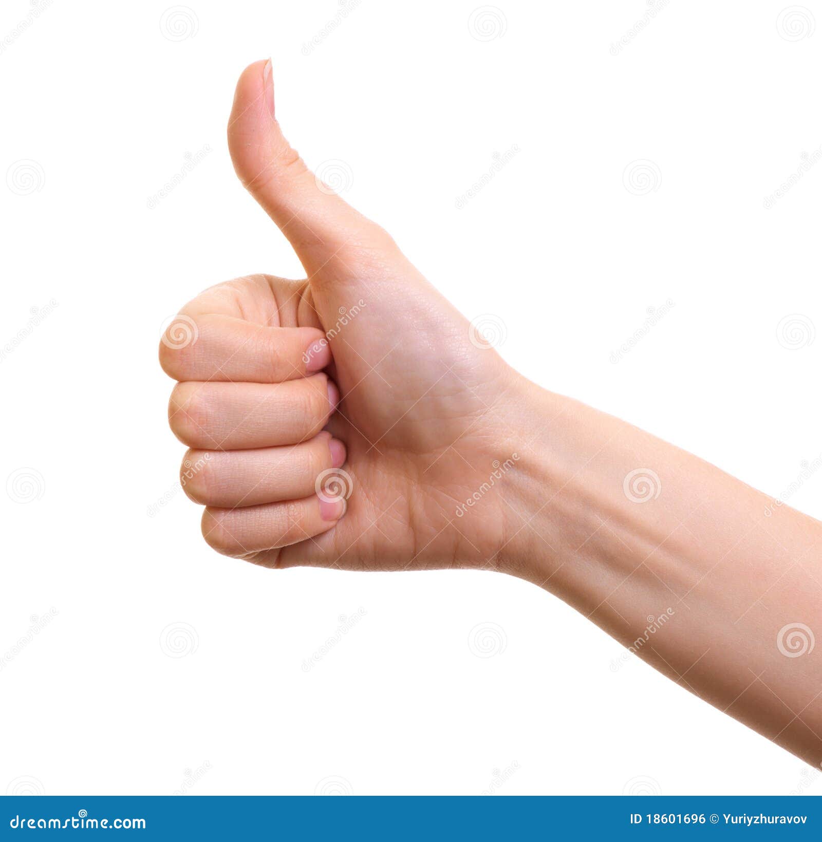 Gesturing hand OK isolated stock photo. Image of adult - 18601696