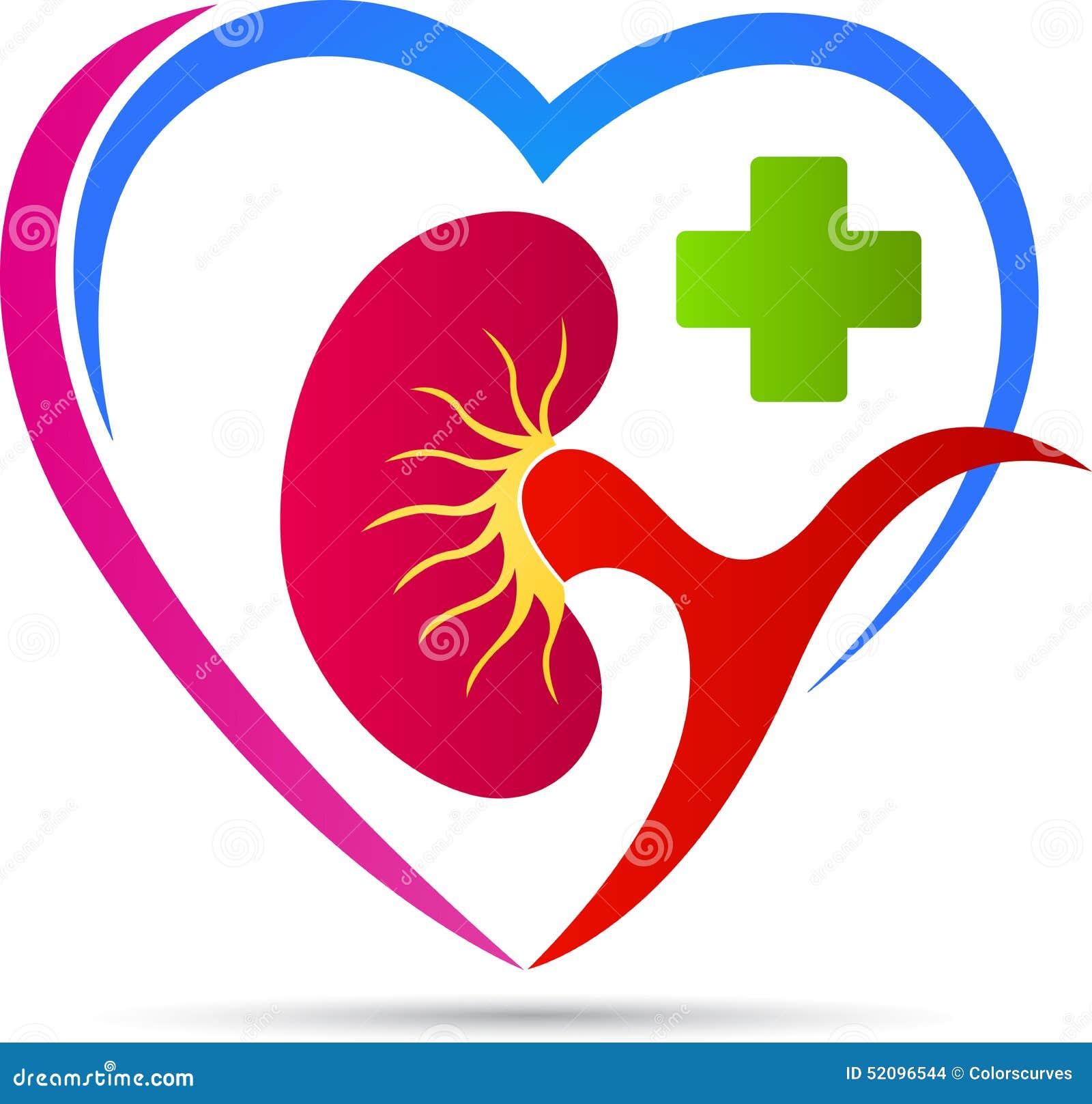 Gesunde Nierensorgfalt vektor abbildung. Illustration von obacht - 52096544