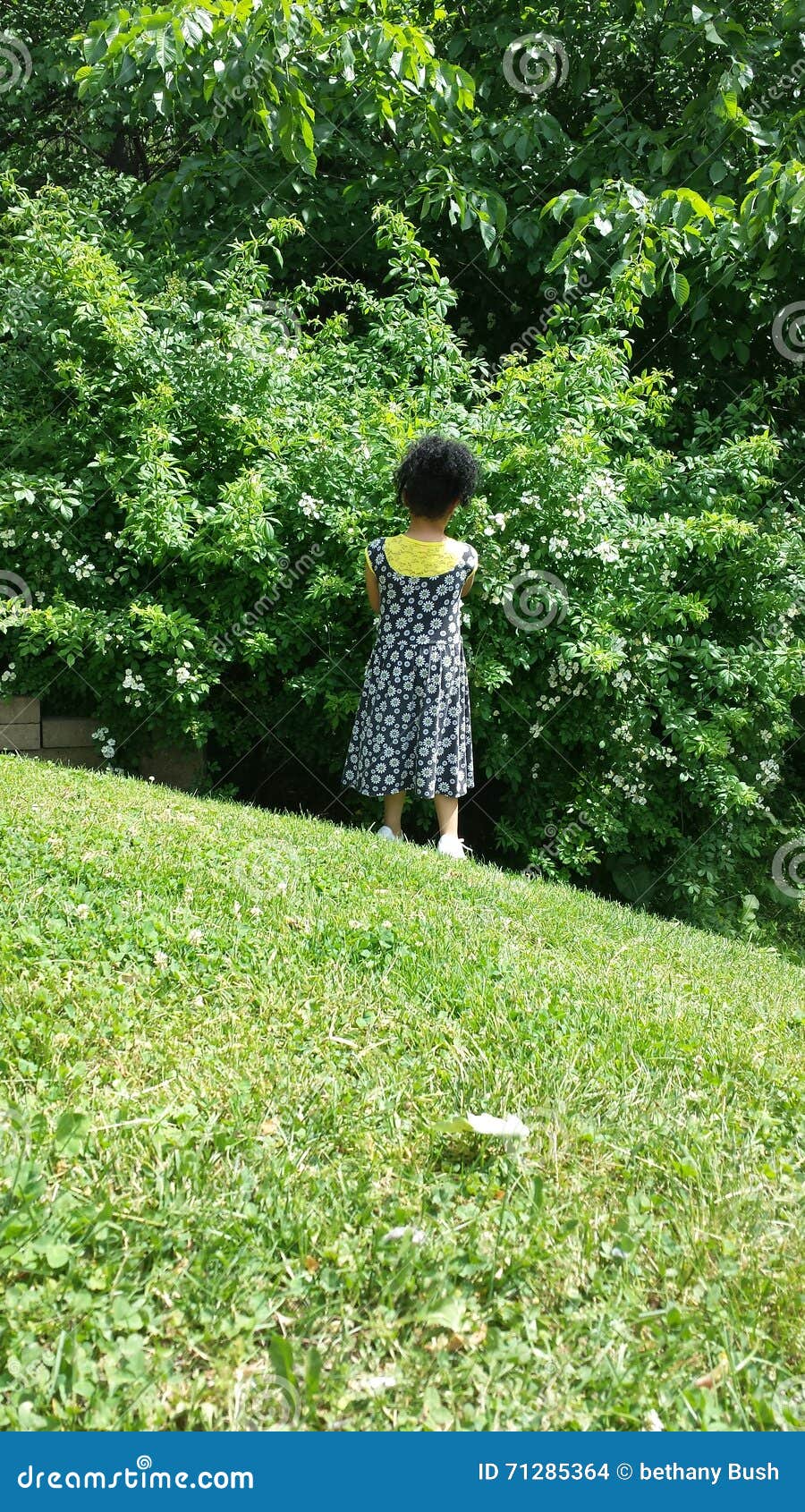 Get back to nature editorial stock image. Image of nature - 71285364