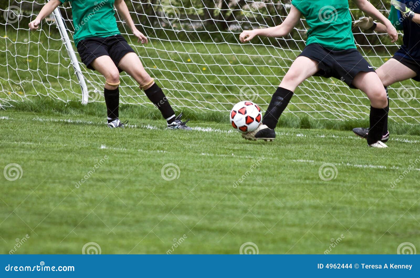 Get that Ball! stock photo. Image of defense, competitive - 4962444