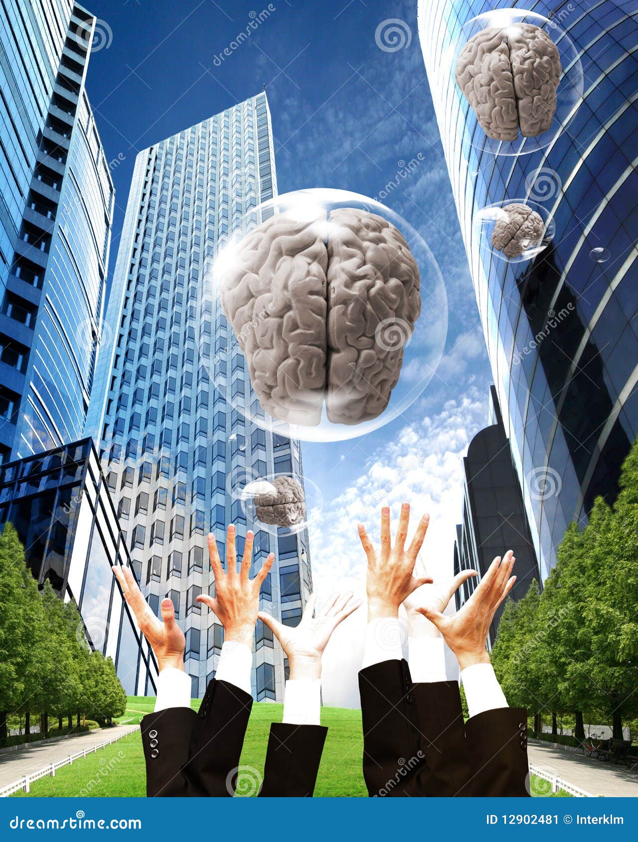 Get brain stock image. Image of stupid, mind, draught - 12902481