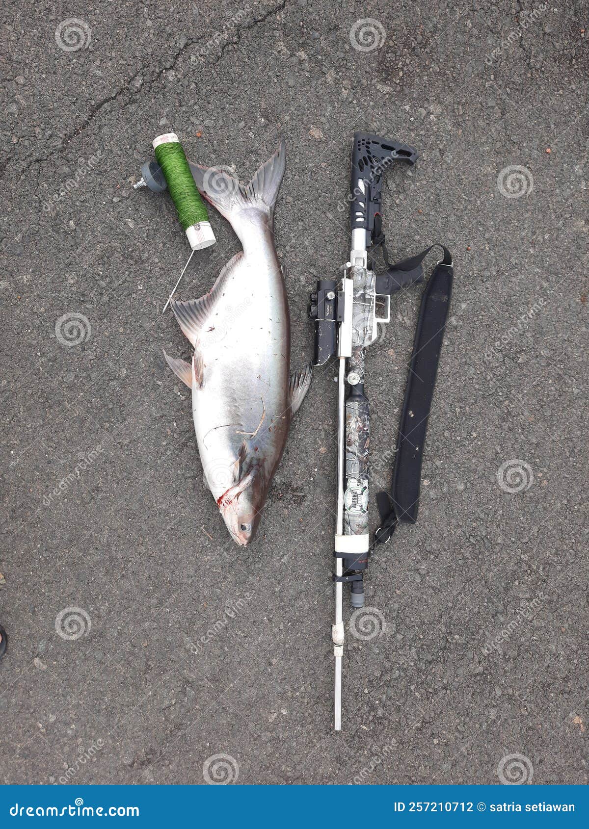 Get fish shot with a gun stock photo. Image of reptile - 257210712