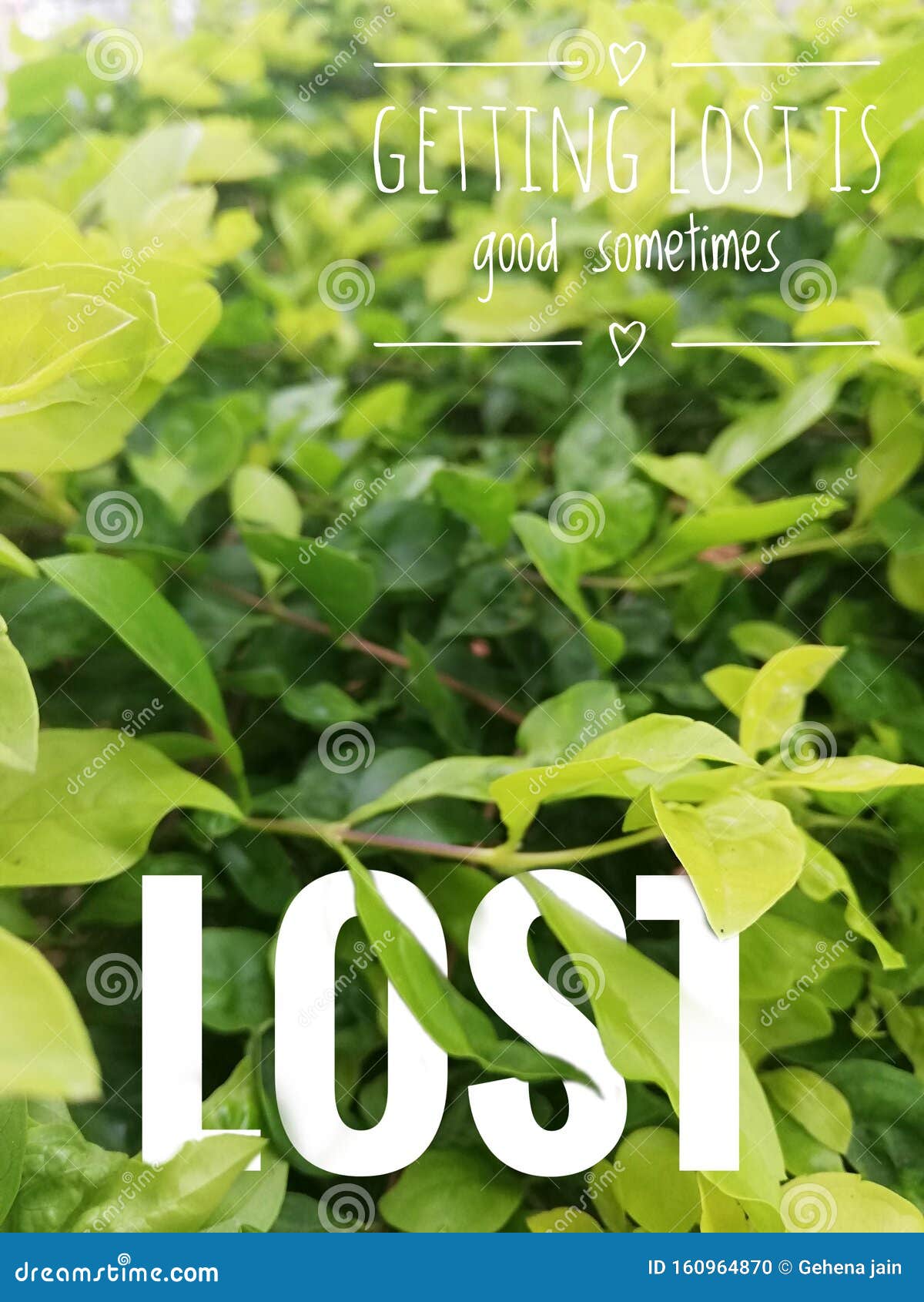 Get lost in the nature stock photo. Image of nature - 160964870