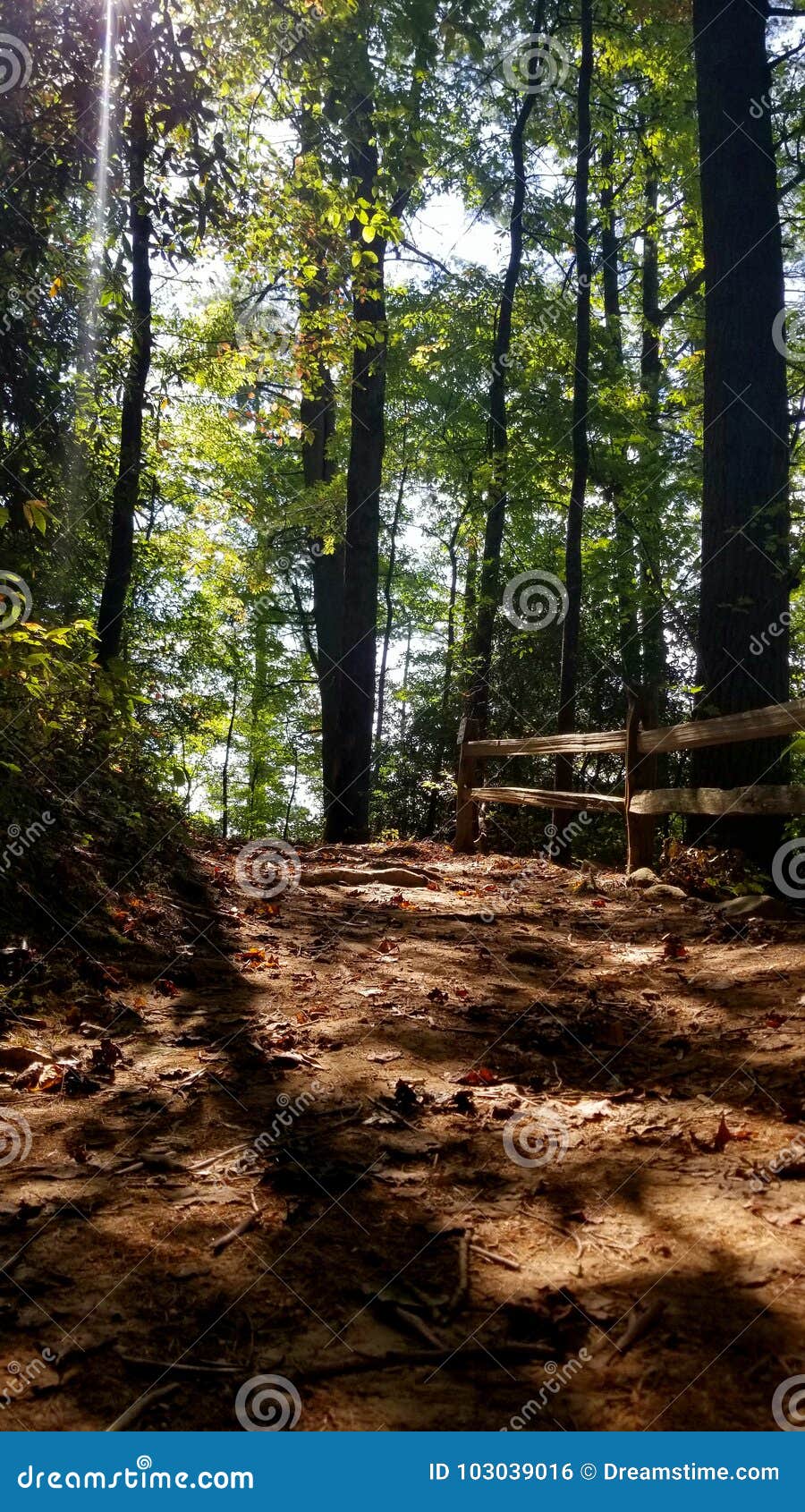 Get Lost stock photo. Image of scenery, nature, lost - 103039016