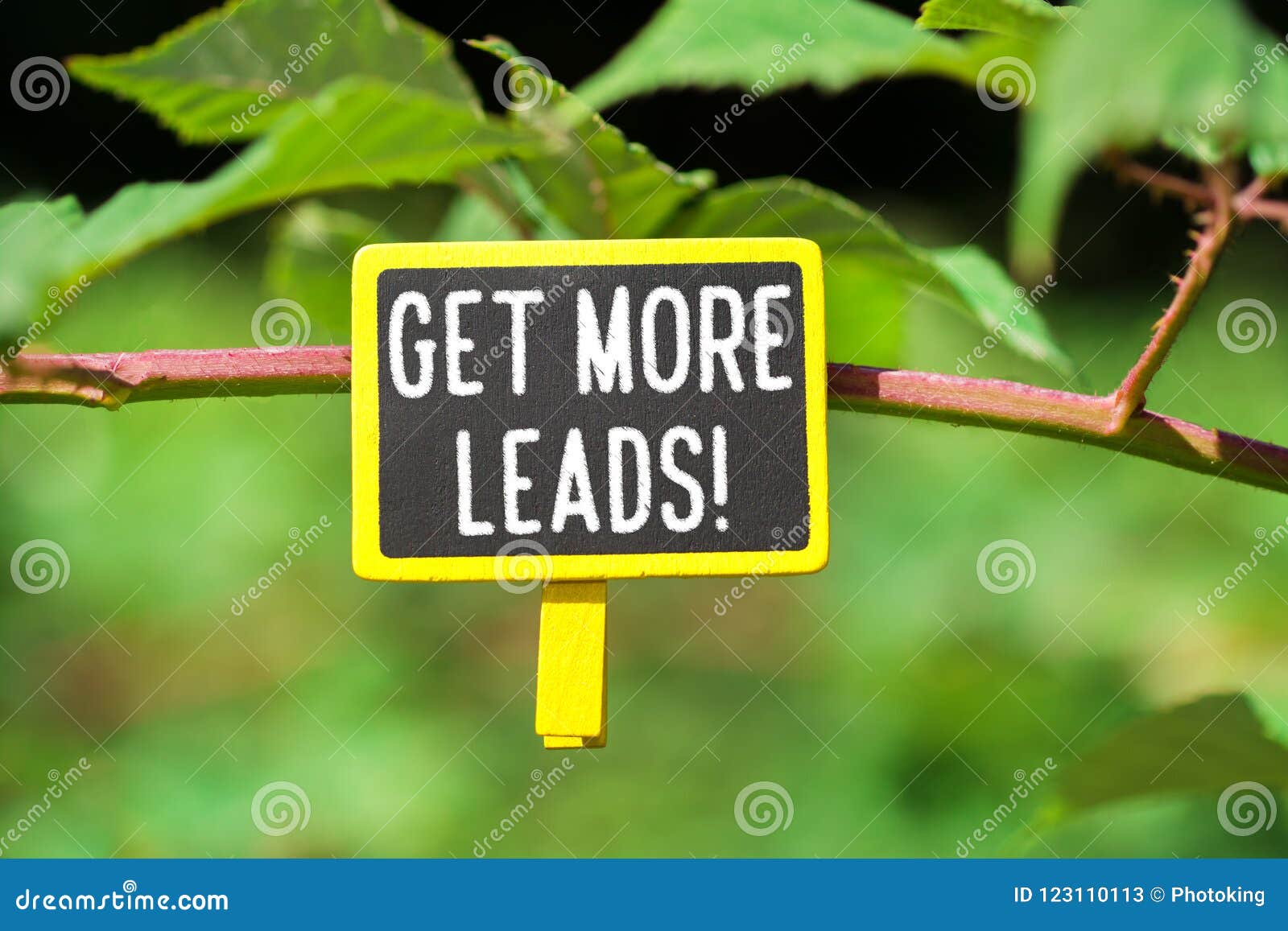 Get More Leads Text on Board Stock Image - Image of leadership ... Get More Leads Text on Board Stock Image - Image of leadership ...