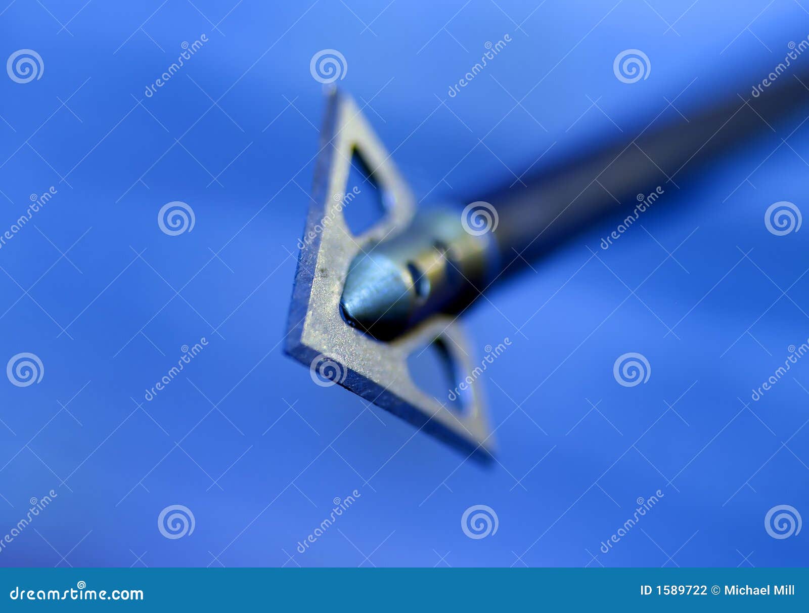 Get the Point stock photo. Image of flying, competition - 1589722