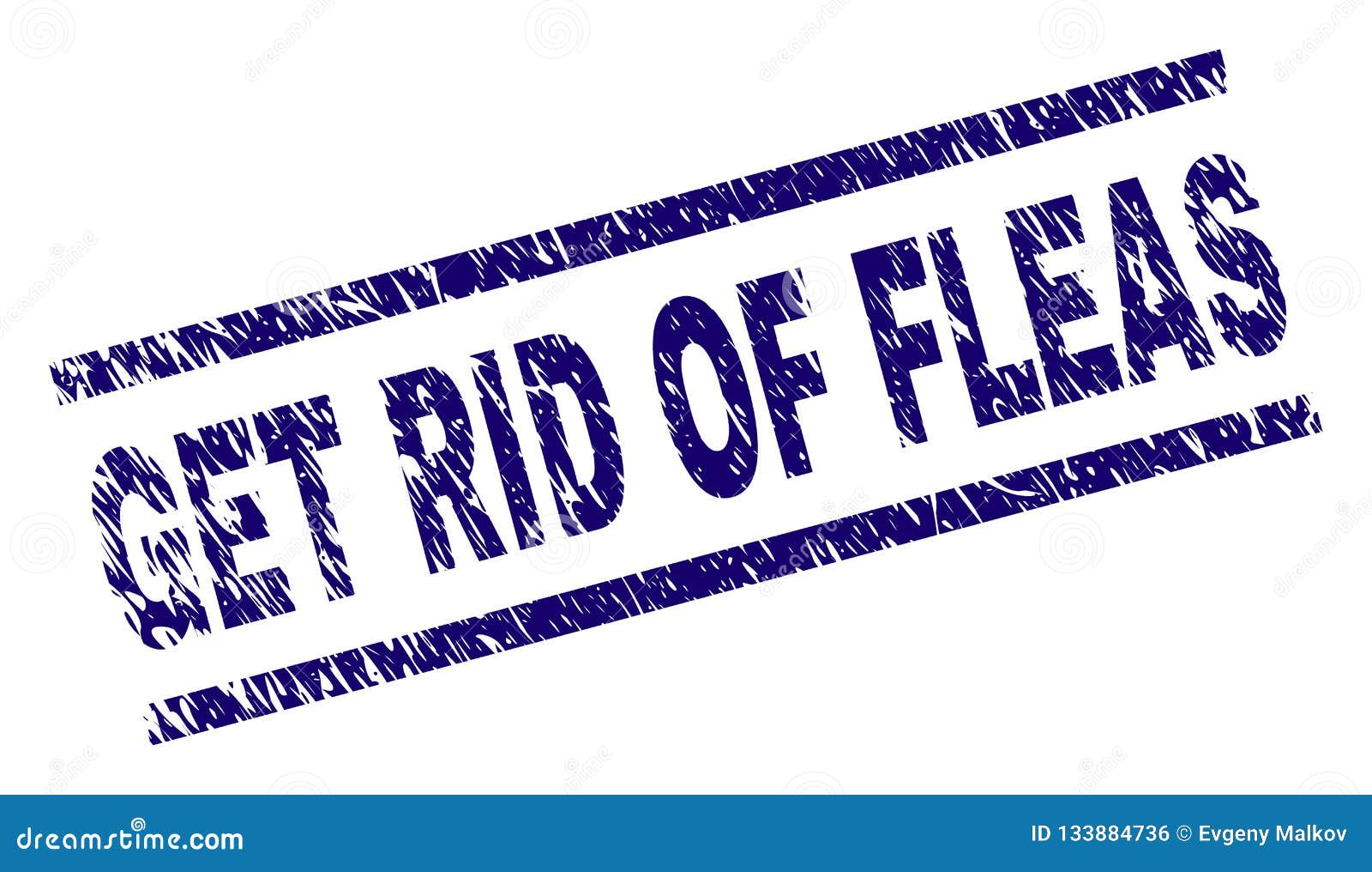 Grunge Textured GET RID of FLEAS Stamp Seal Stock Vector - Illustration ...