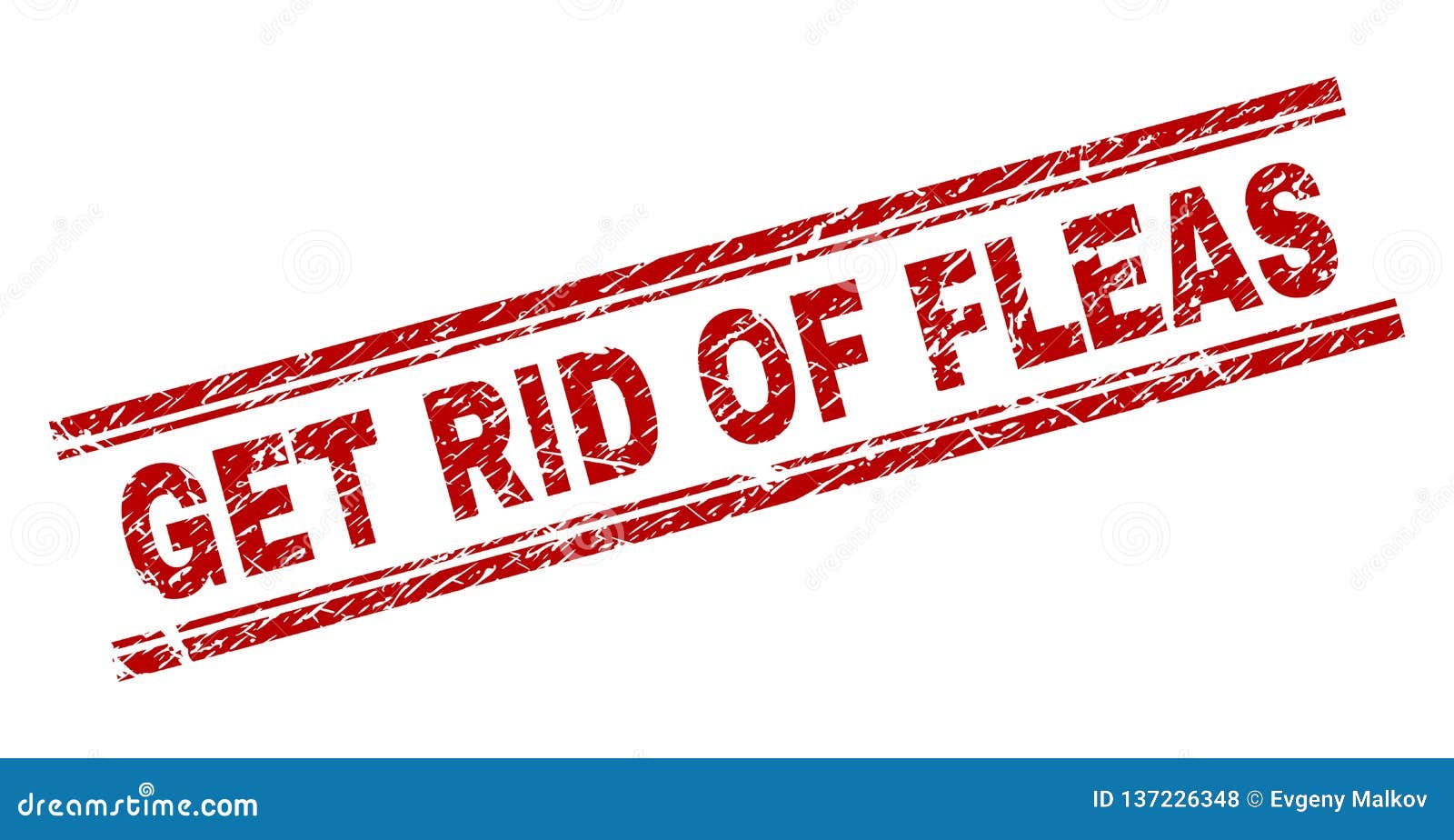 Fleas Label Stock Illustrations – 14 Fleas Label Stock Illustrations ...